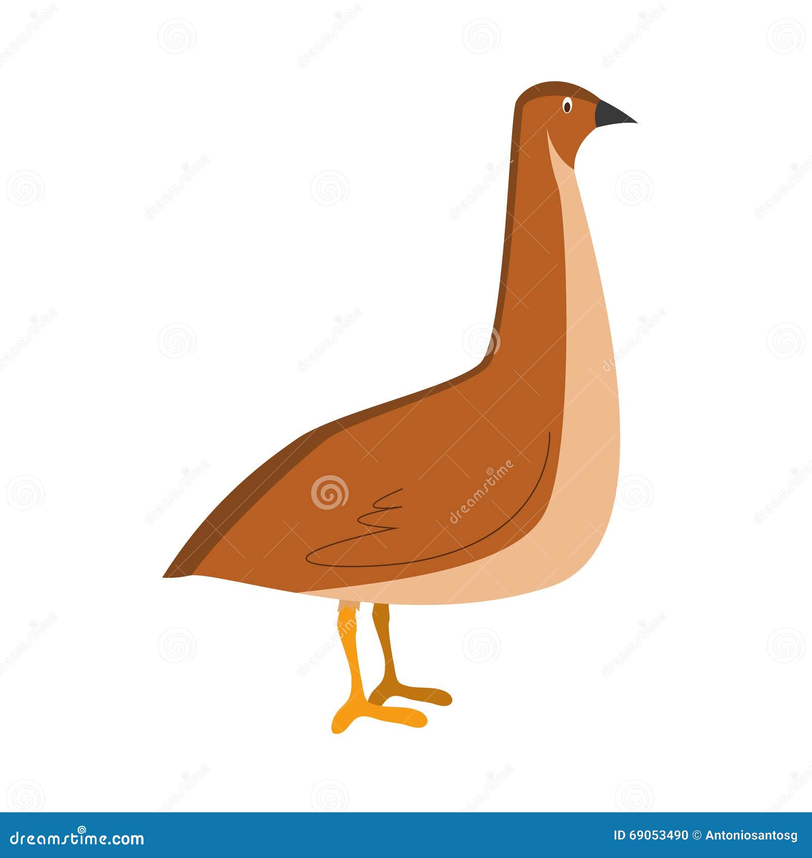 Cute Cartoon Quail Vector Illustration Stock Vector - Illustration of ...