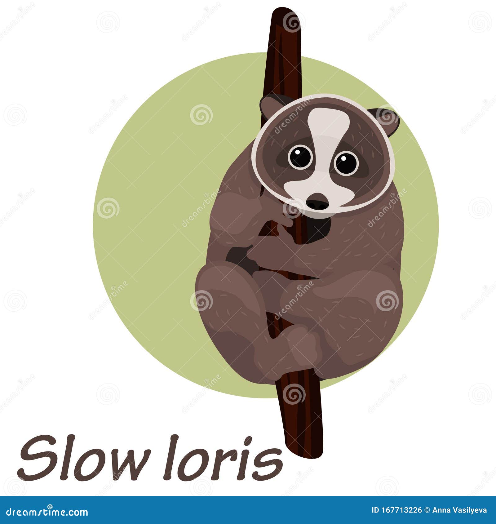 Cartoon Slow Loris Comic Animal Character Vector Illustration ...