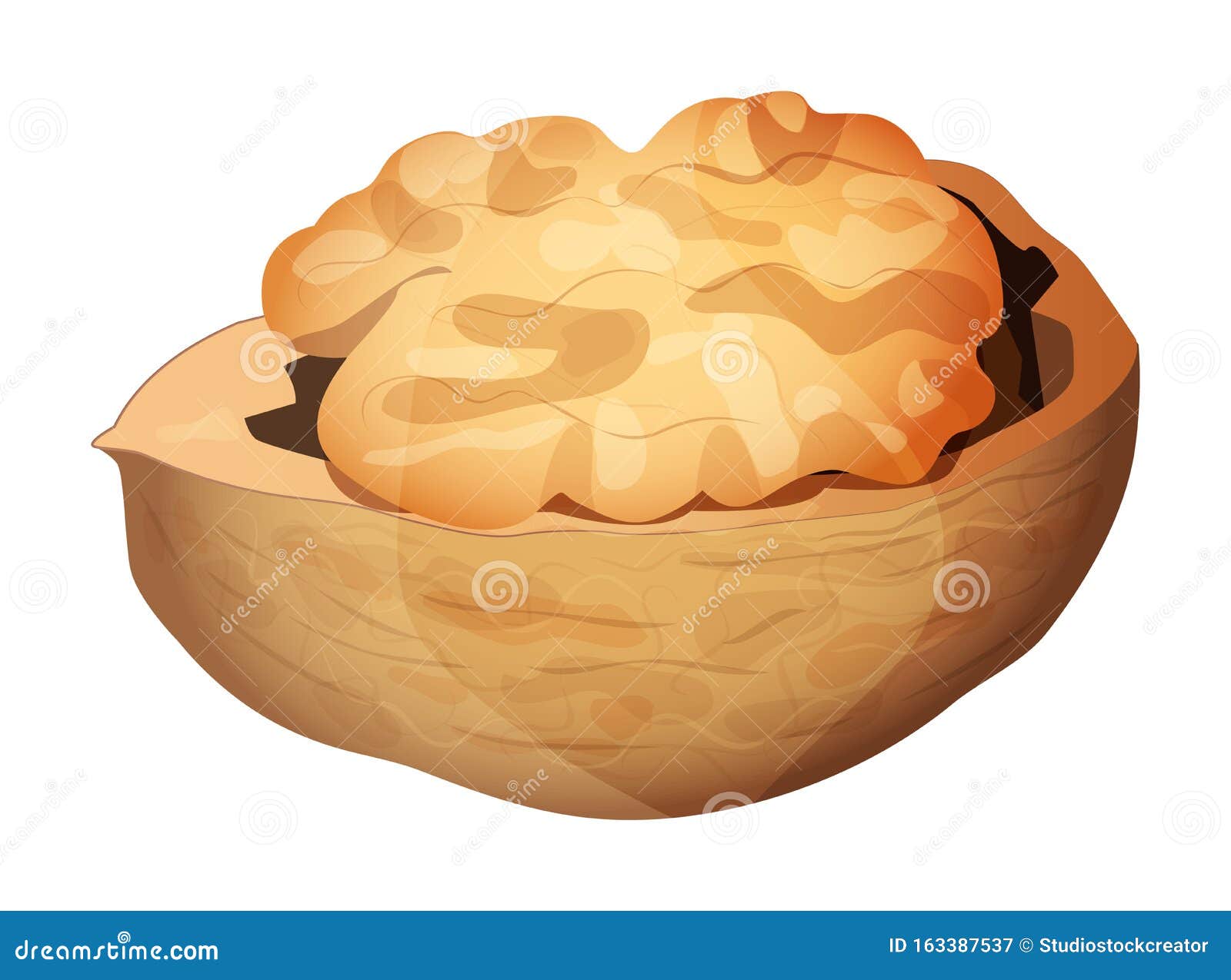 Cute Cartoon Walnut Isolated on a White Background. Vector Illustration ...