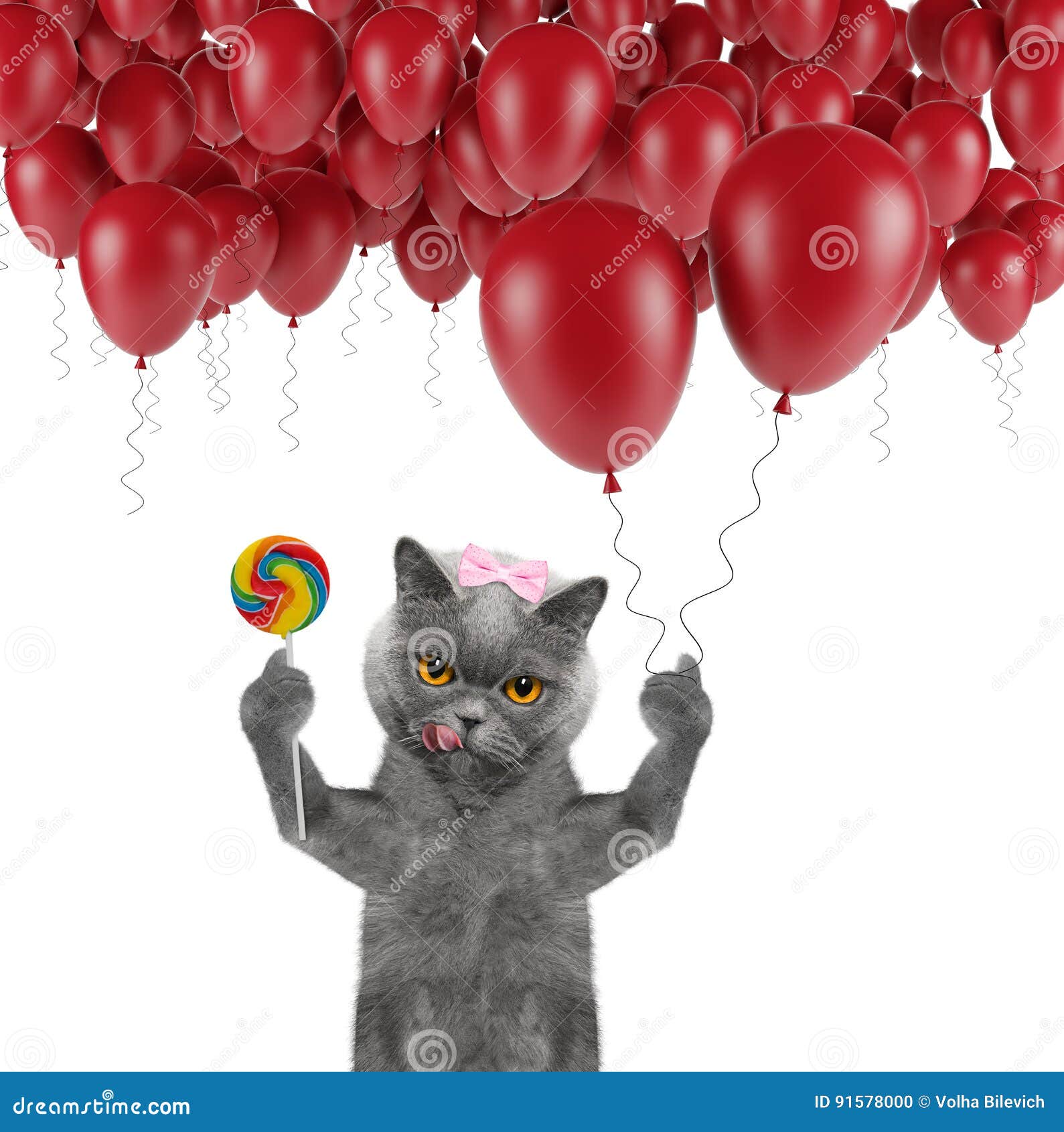 Cute Cat with Balloon and Lollipop Stock Photo - Image of canine, food ...