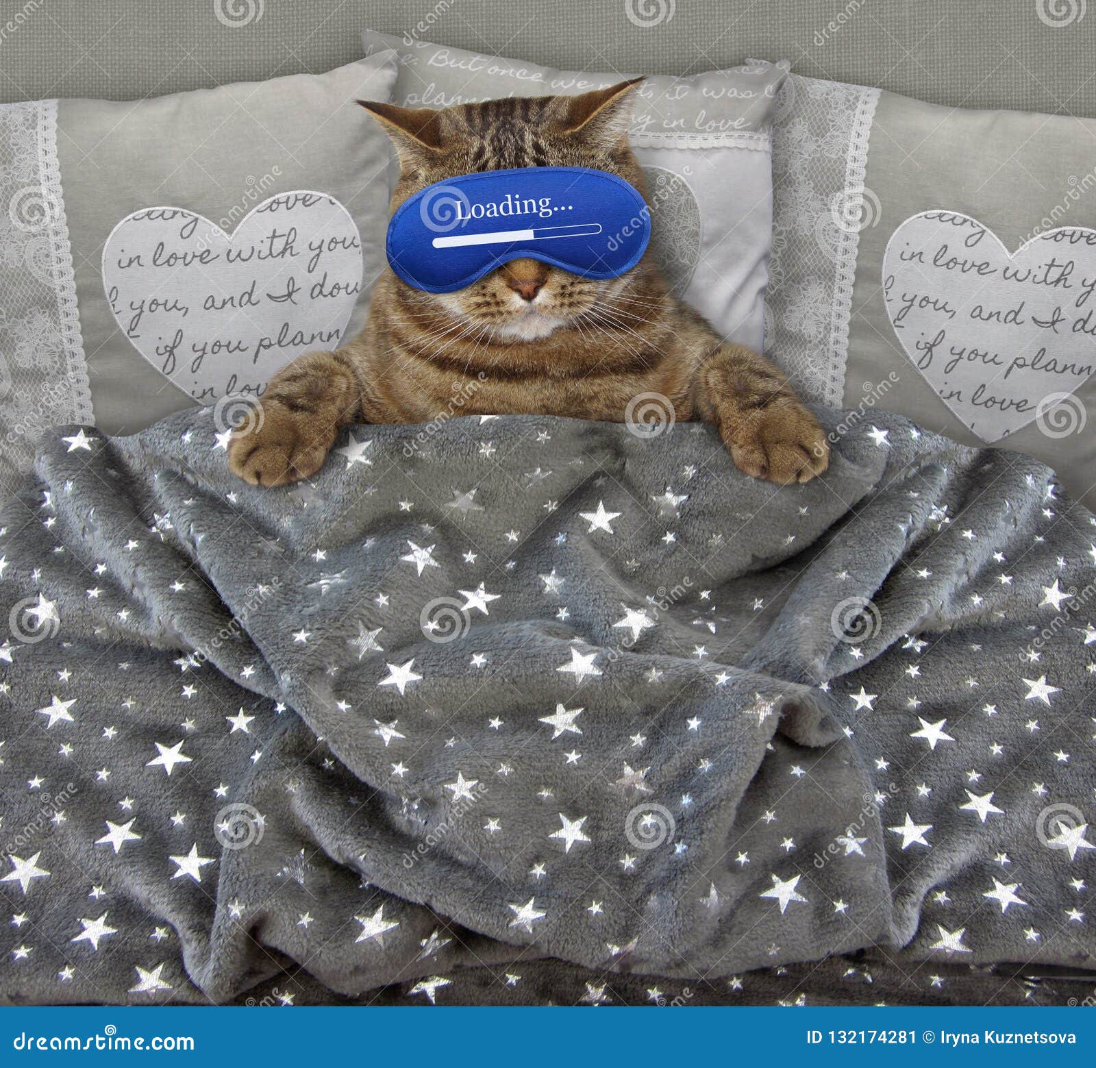 Cat with a Sleep Mask in the Bed Stock Image - Image of cushion, sweet ...