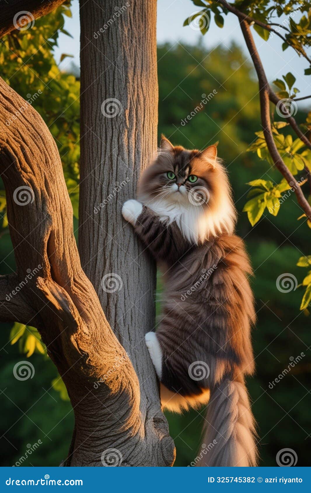 A cute cat climbing tree stock photo. Image of climbing - 325745382