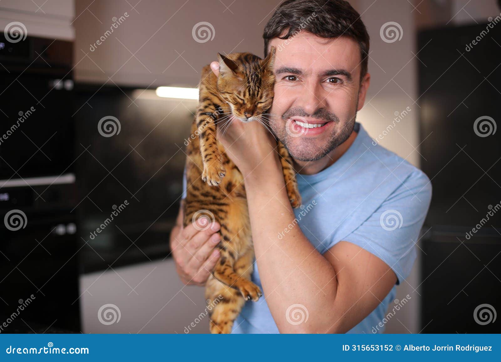 Cute cat and his owner stock photo. Image of gold, happiness - 315653152