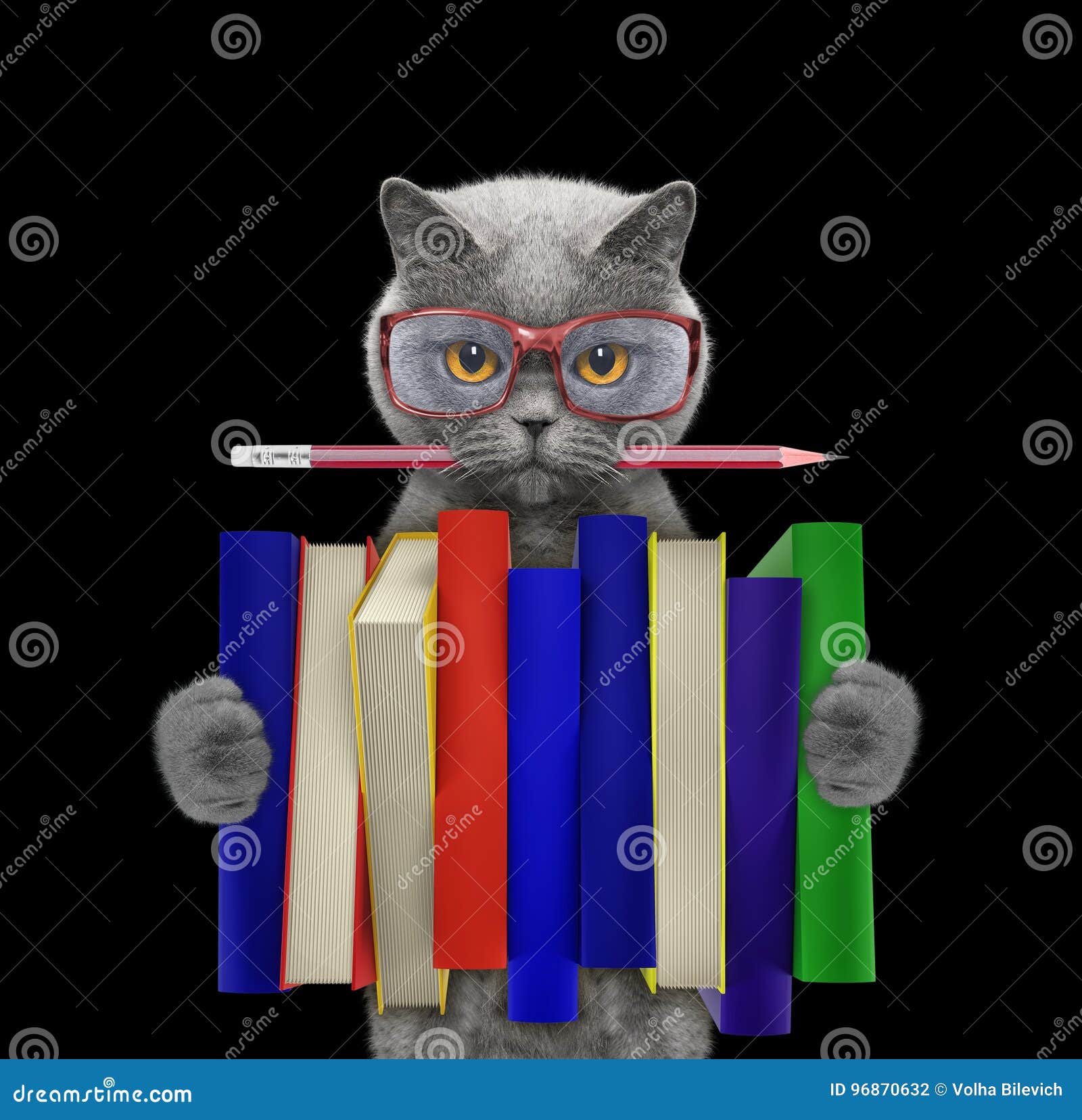 Cute Cat Holding a Big Stack of Books -- Isolated on Black Stock Photo ...