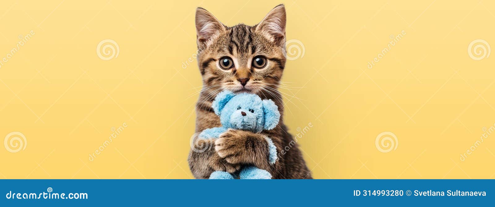 Cute cat hugs a teddy bear stock illustration. Illustration of mammal ...