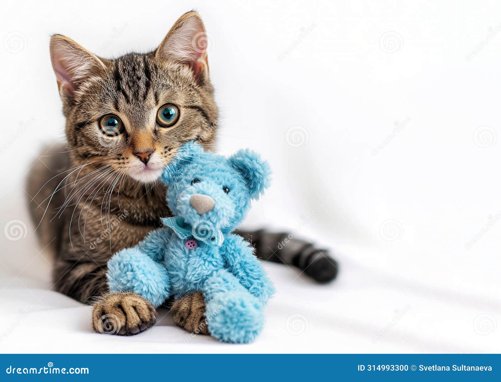 Cute cat hugs a teddy bear stock illustration. Illustration of brown ...