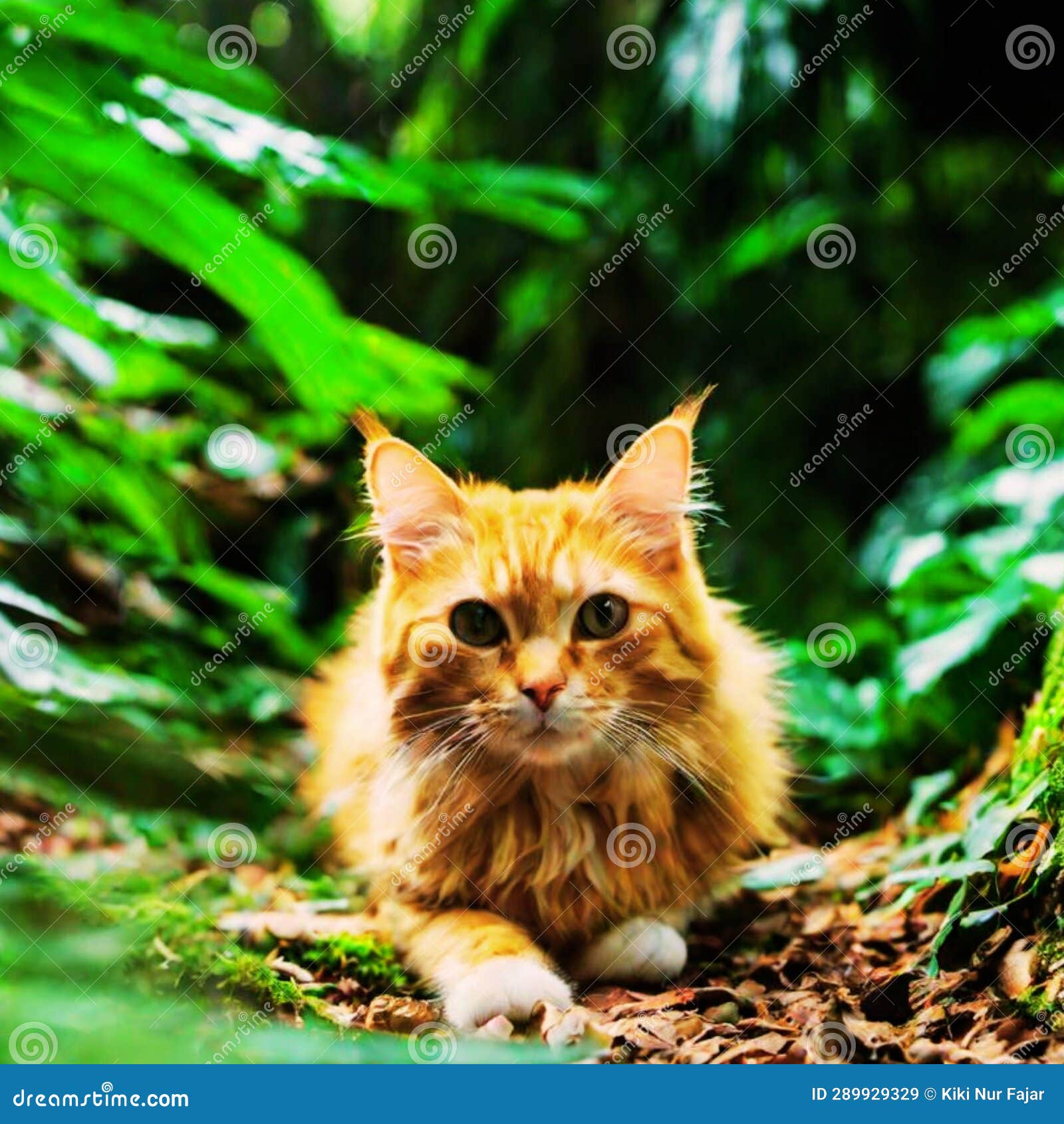 Forest1 Cartoons, Illustrations & Vector Stock Images - 50 Pictures to ...