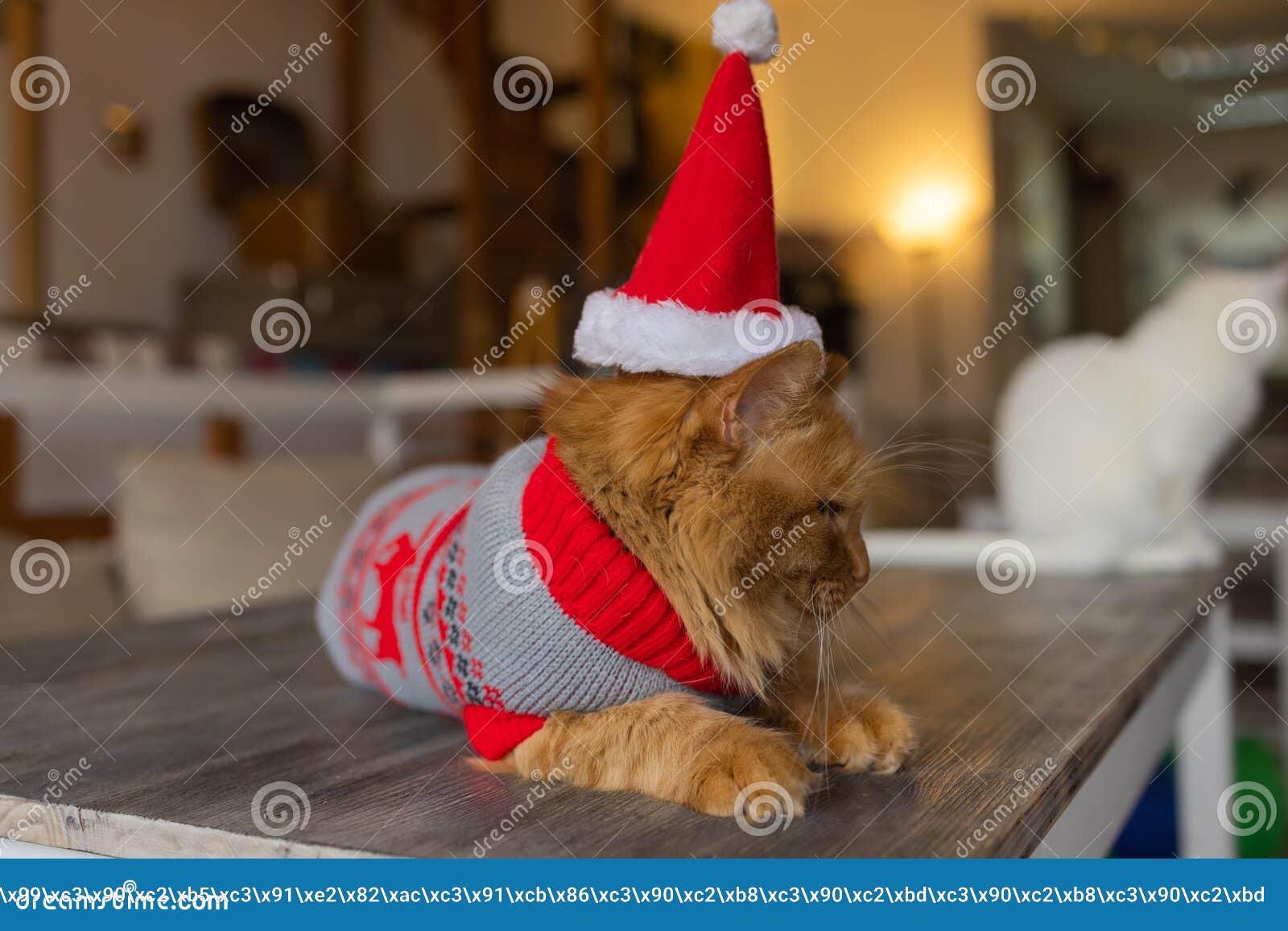 Cute Cat In Santa Claus Hat Against Blurred Christmas Lights Stock