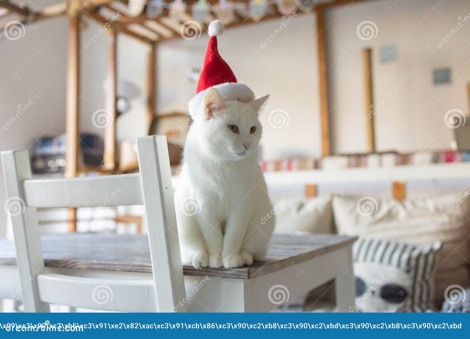 Cute Cat In Santa Claus Hat Against Blurred Christmas Lights Stock