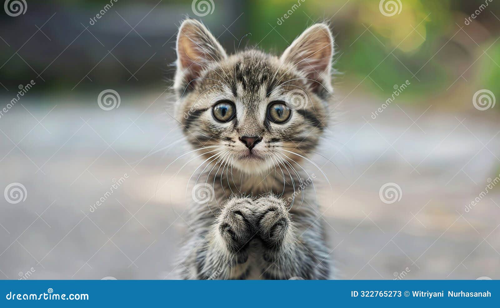 Cute Cat Standing with Hands . Generative Ai Stock Illustration ...