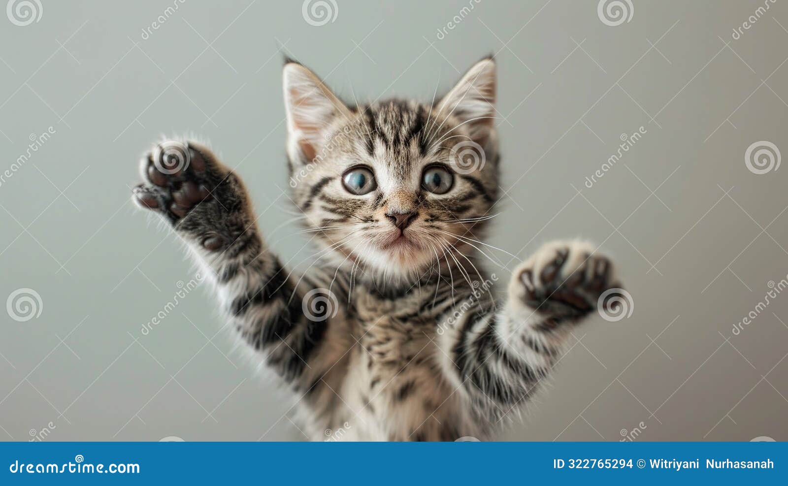 Cute Cat Standing with Hands . Generative Ai Stock Illustration ...