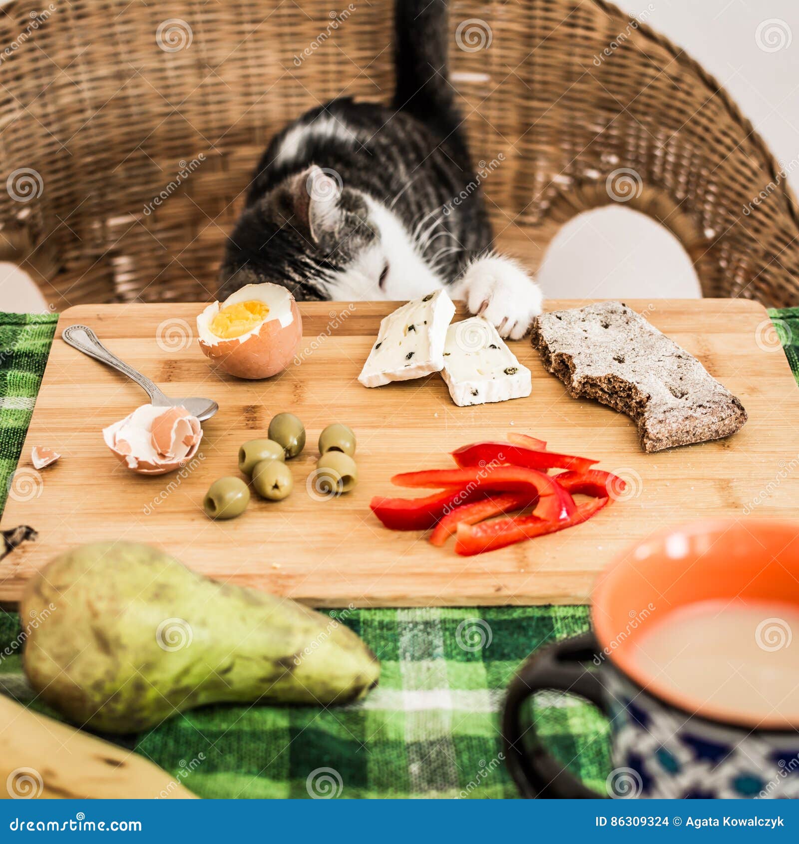 Cute Cat Stealing Cheese from a Table. Stock Photo - Image of breakfast ...