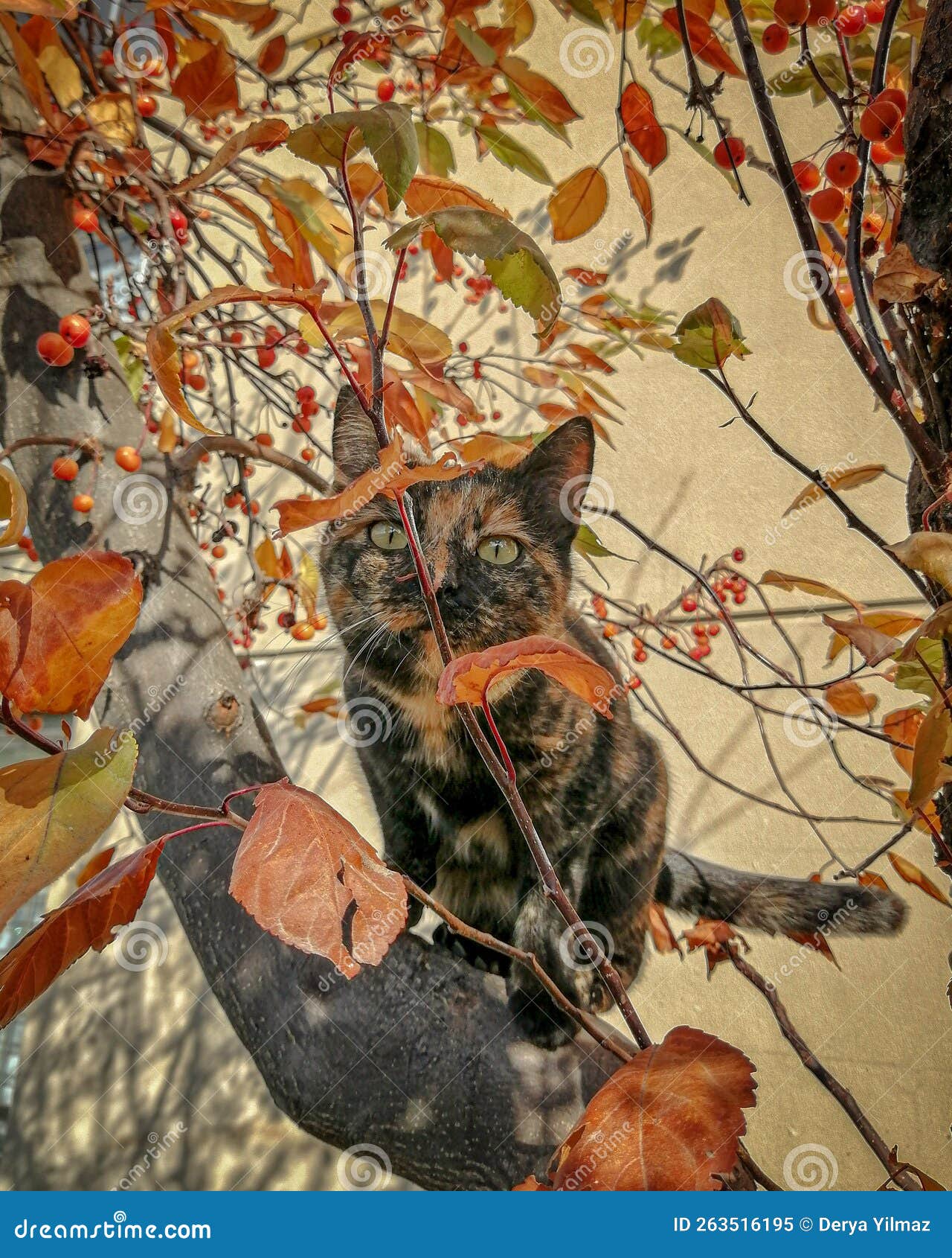 Cute Cat on the Tree Autumn Earth Stock Image - Image of autumn ...