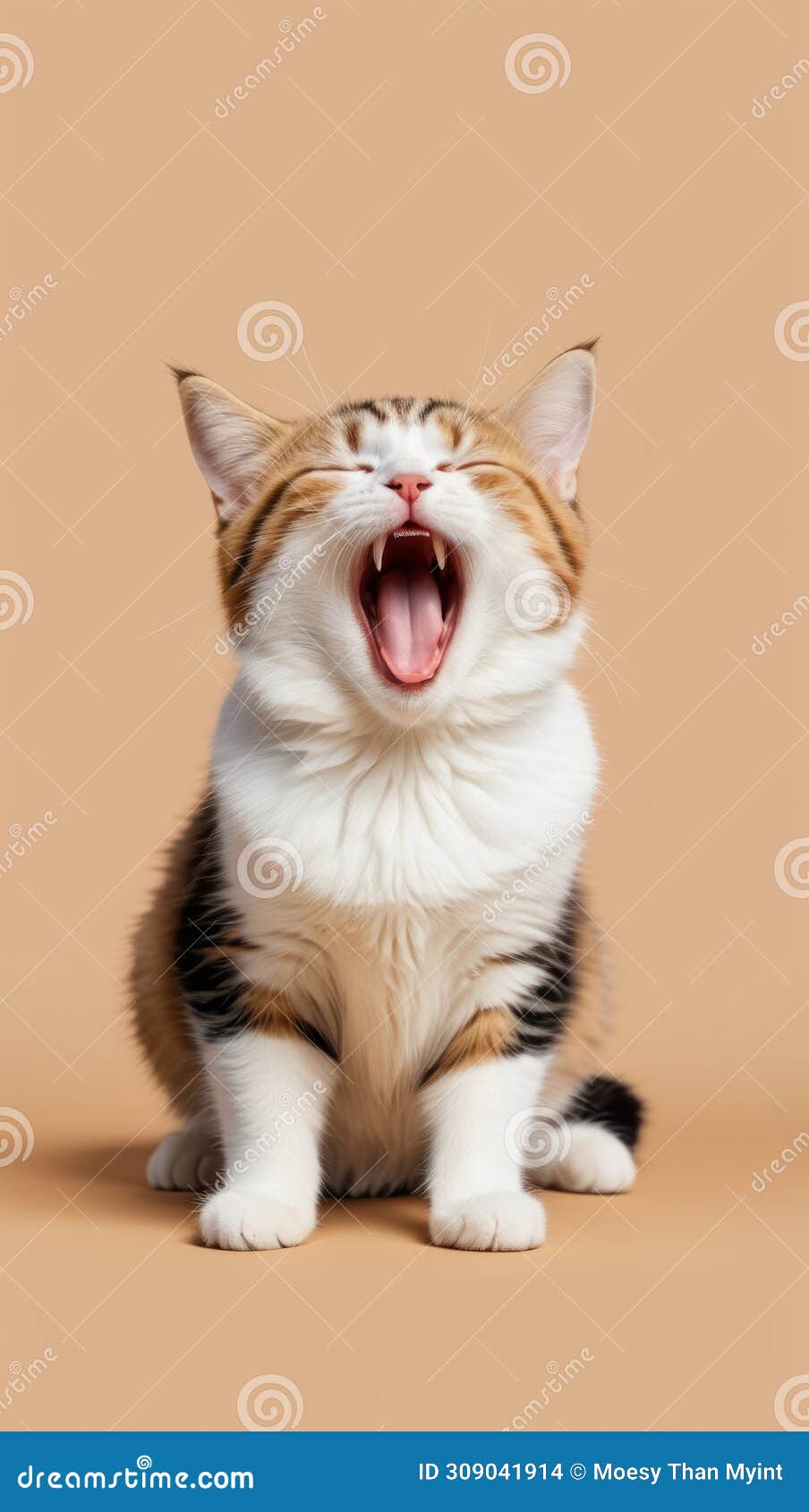 Cute Cat Yawning Against Solid Pastel Color Backdrop Stock Illustration ...