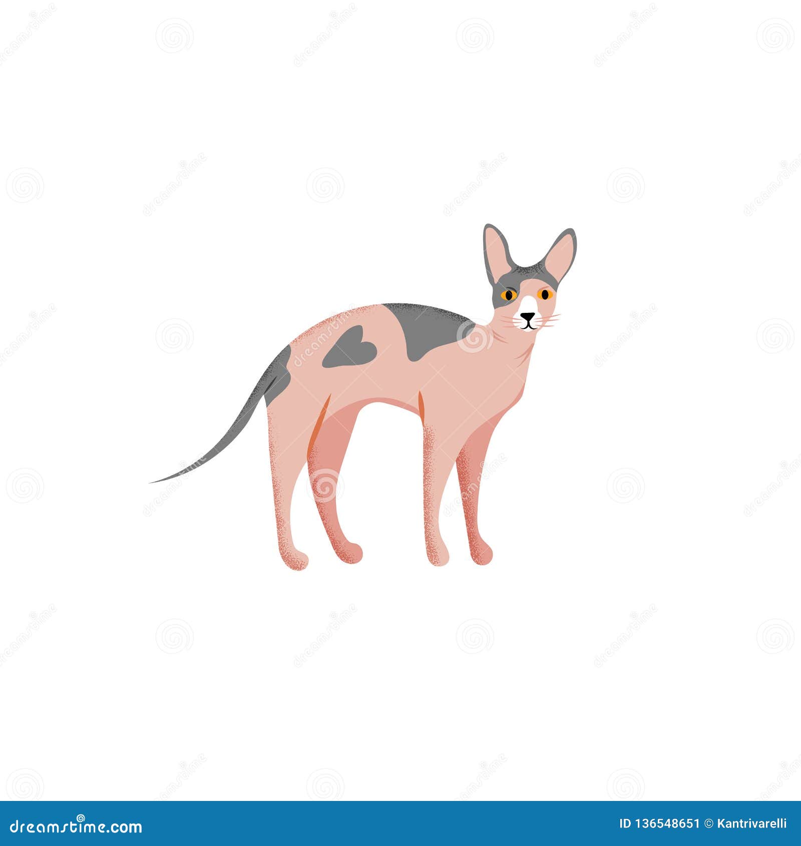 Cute Character Cartoon Style of Cat. Icon of Sphynx Breed for Different ...