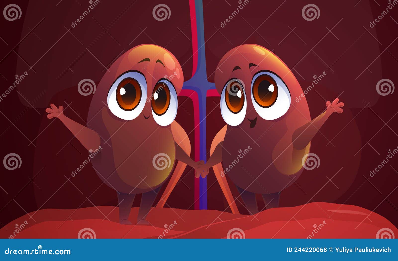 Cute Characters Of Kidneys, Human Internal Organs Vector Illustration ...