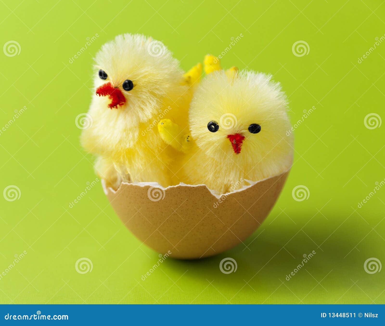 Cute Chickens in Easter Egg Shell Stock Image - Image of spring, green ...
