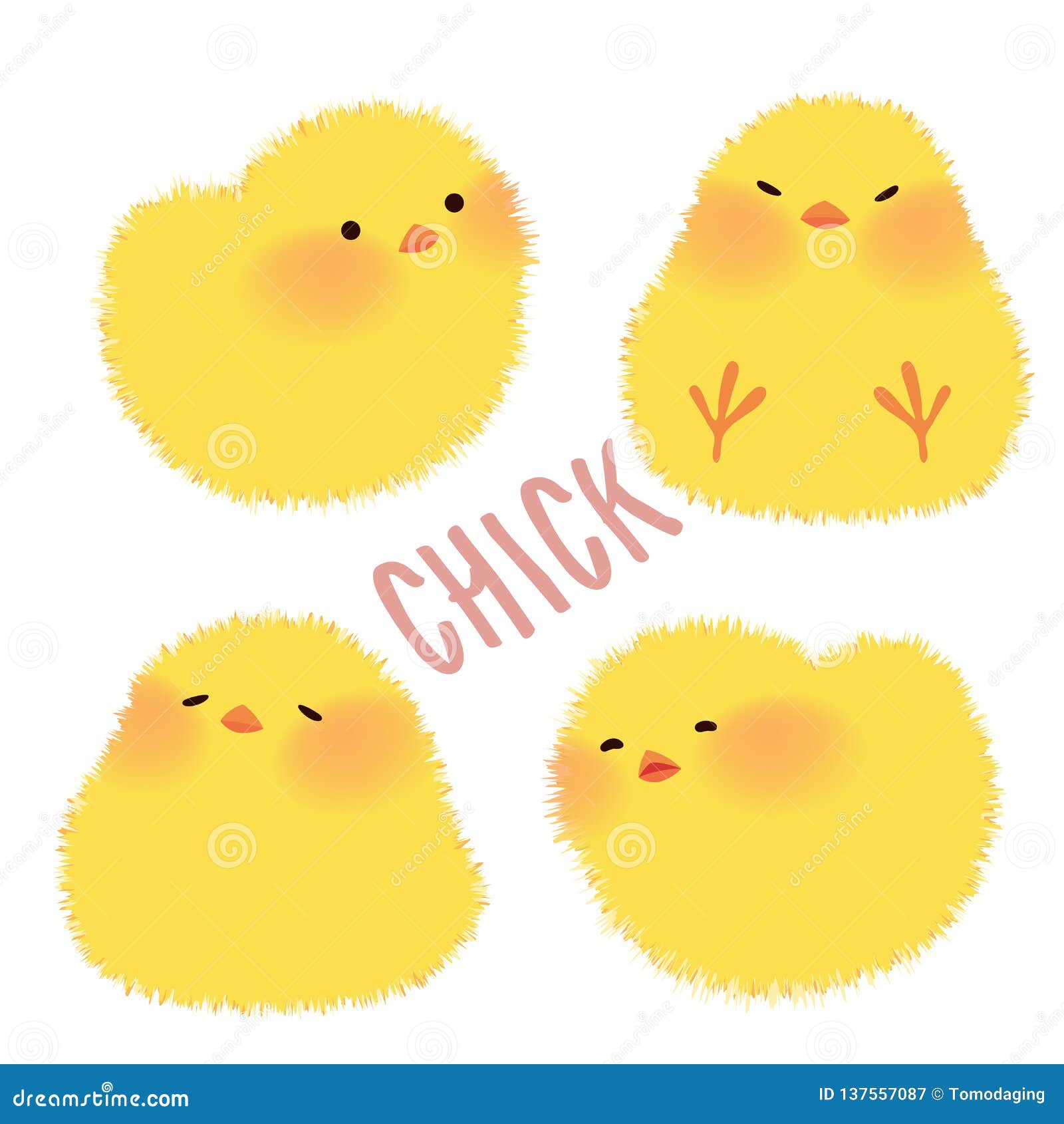 Cute Chicks Character Design Set Stock Vector - Illustration of cartoon ...
