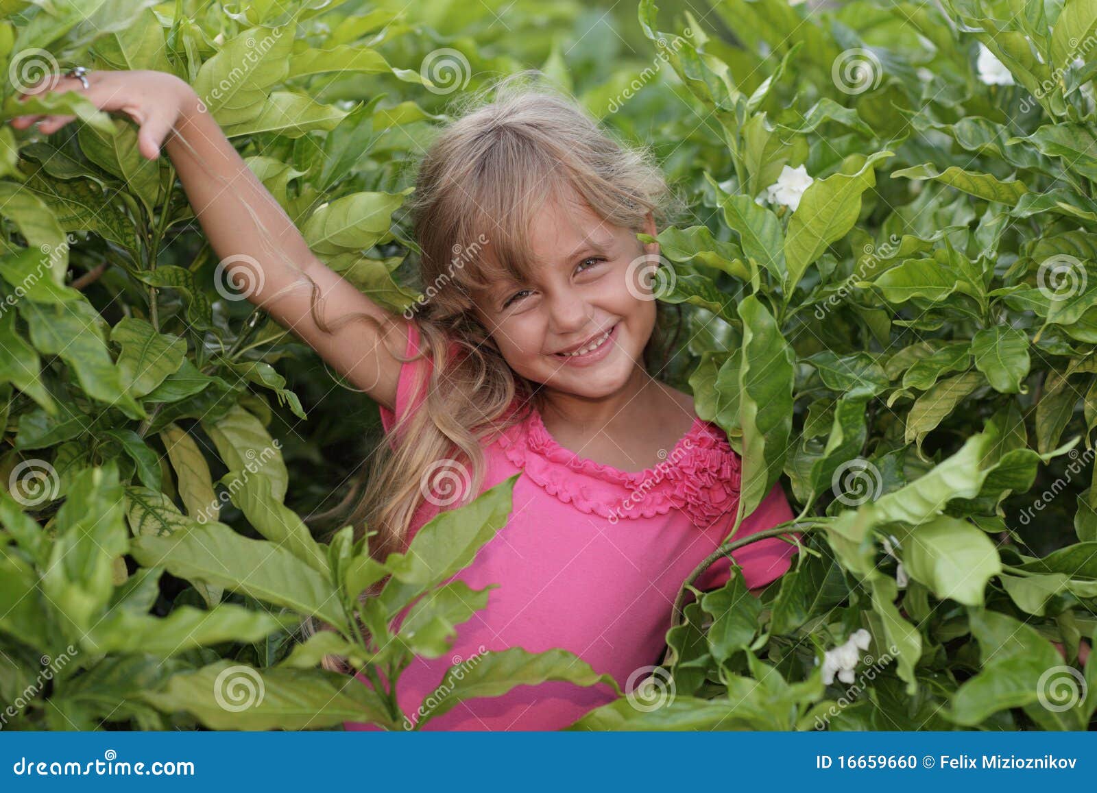 Cute child in the bushes stock photo. Image of wellness - 16659660