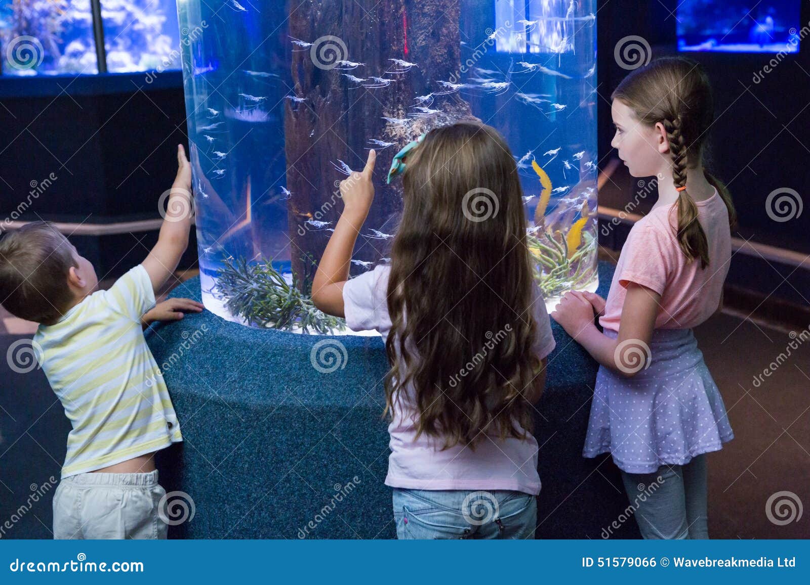Cute Children Looking at Fish Tank Stock Photo - Image of environment ...