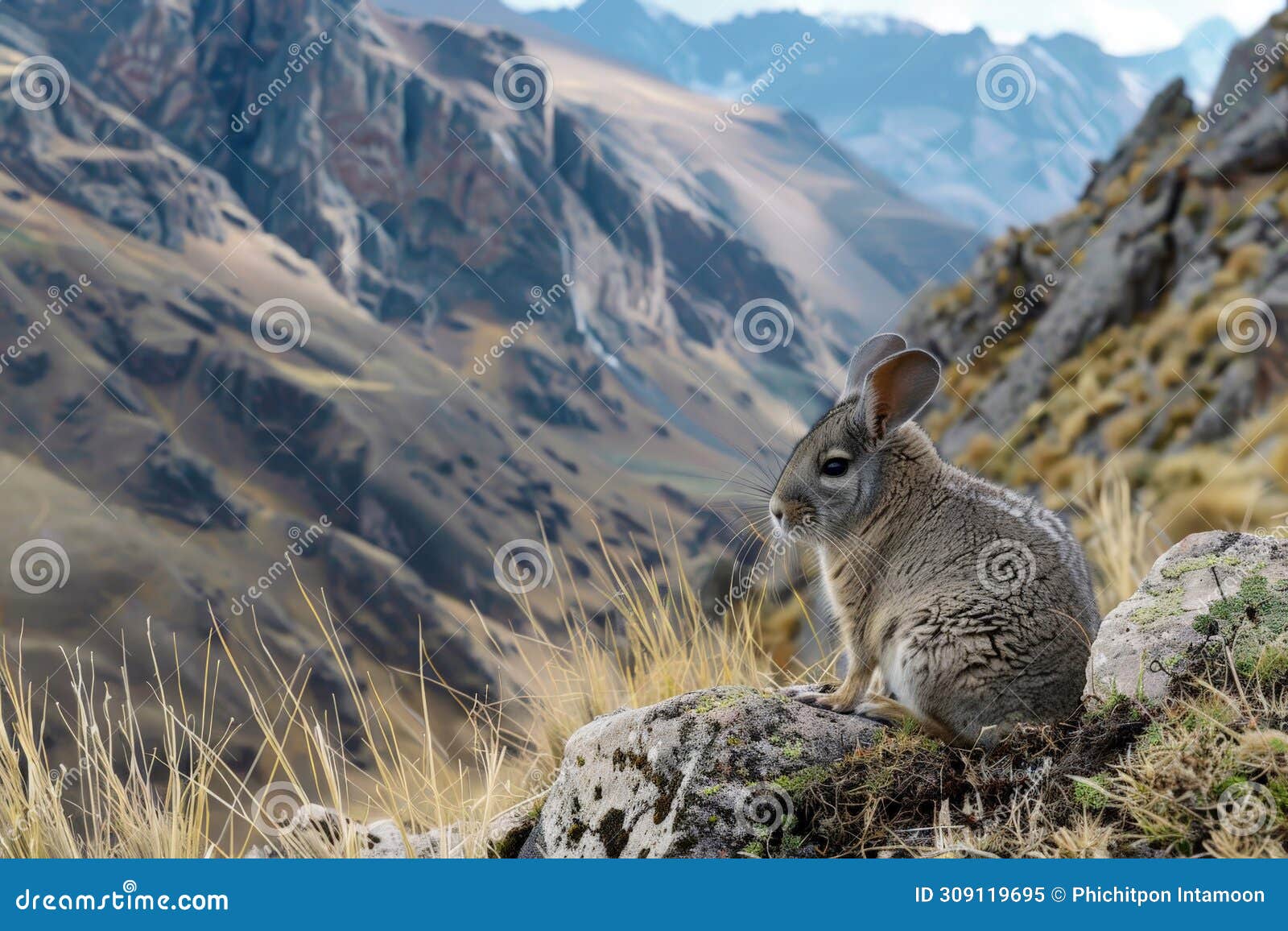 Cute Chinchilla Sunning Itself on a Mountain . AI Generated Stock Image ...