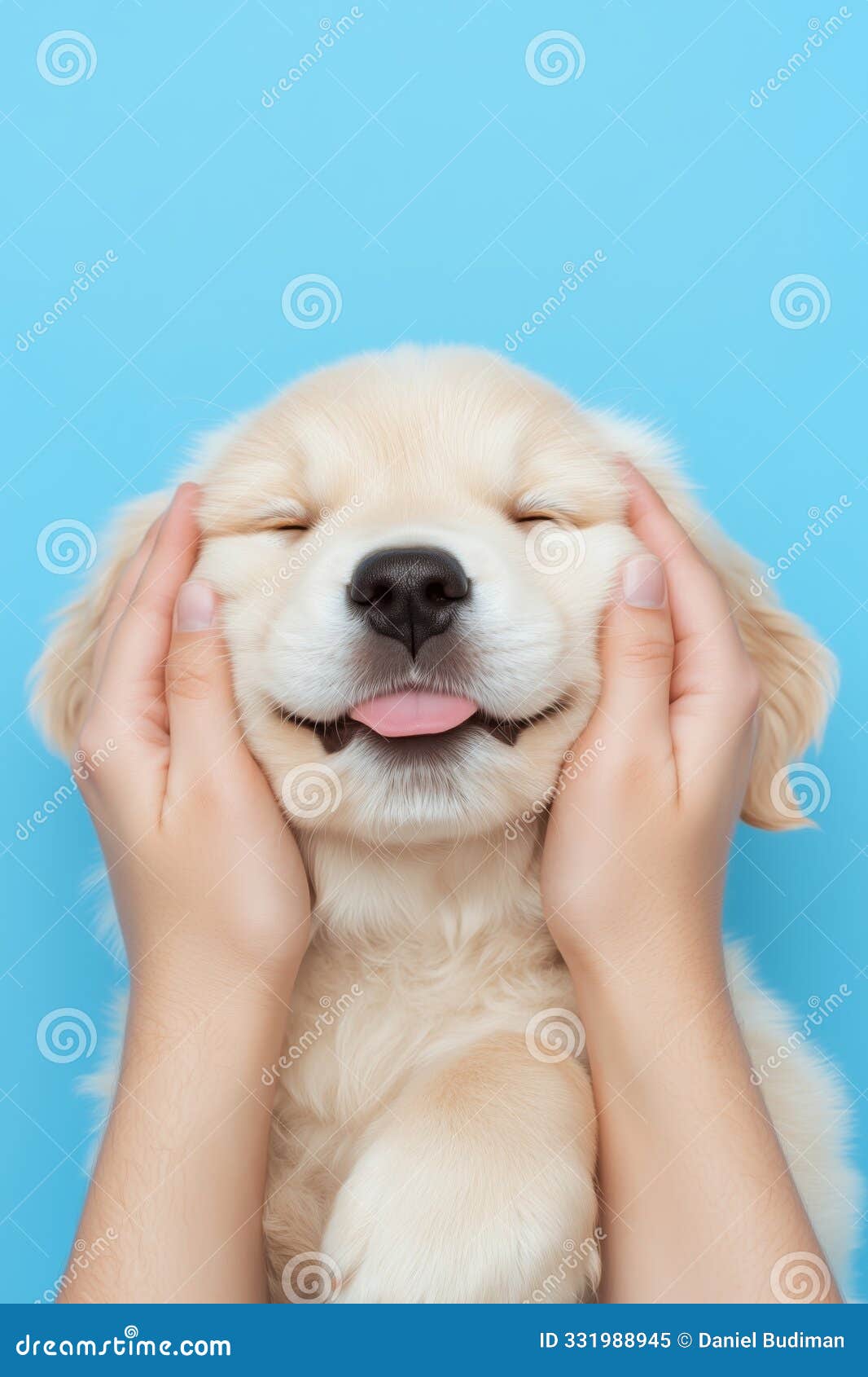 Cute Chubby Dog , Hands Holding Its Fat Cheek Stock Illustration ...