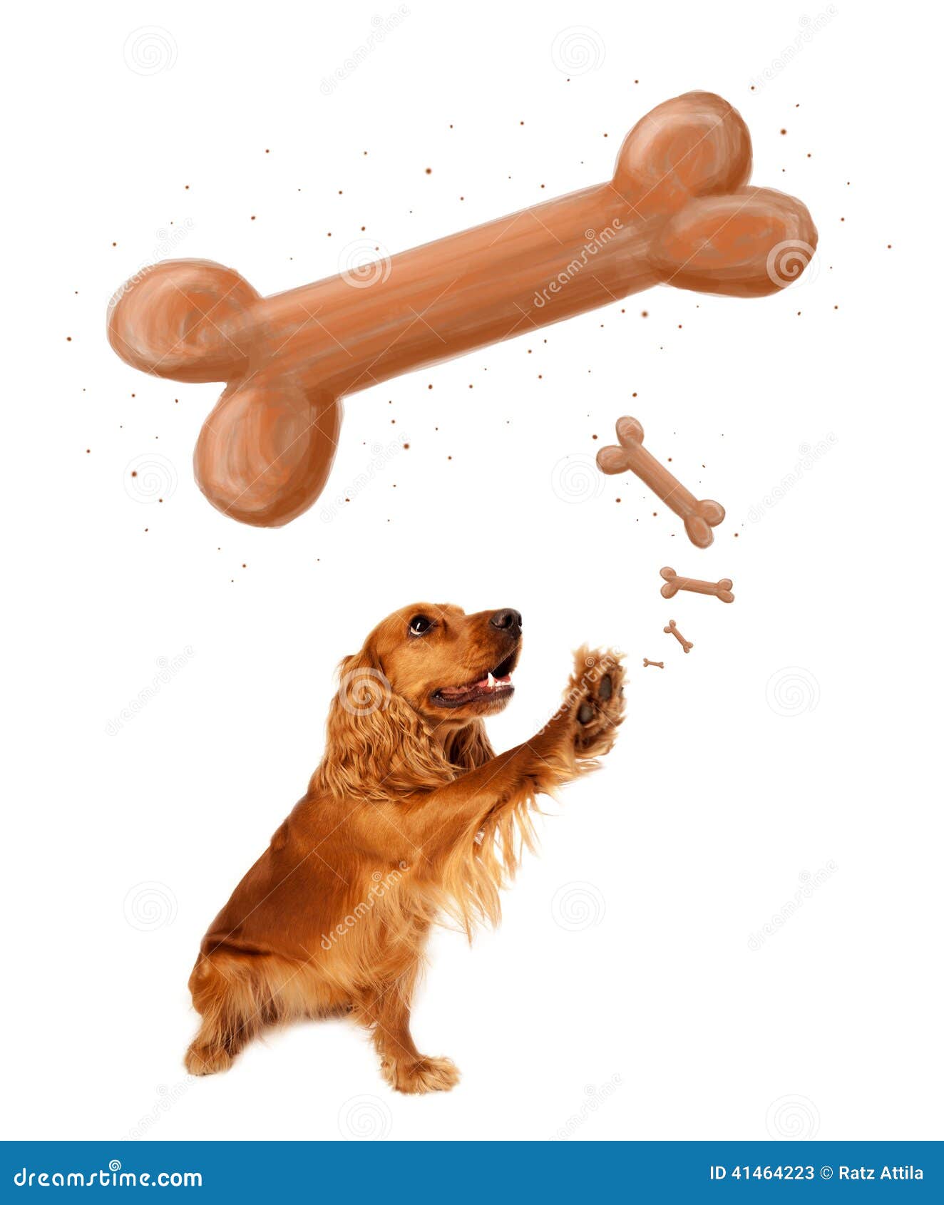 Cute Cocker Spaniel Thinking about a Bone Stock Image - Image of ...