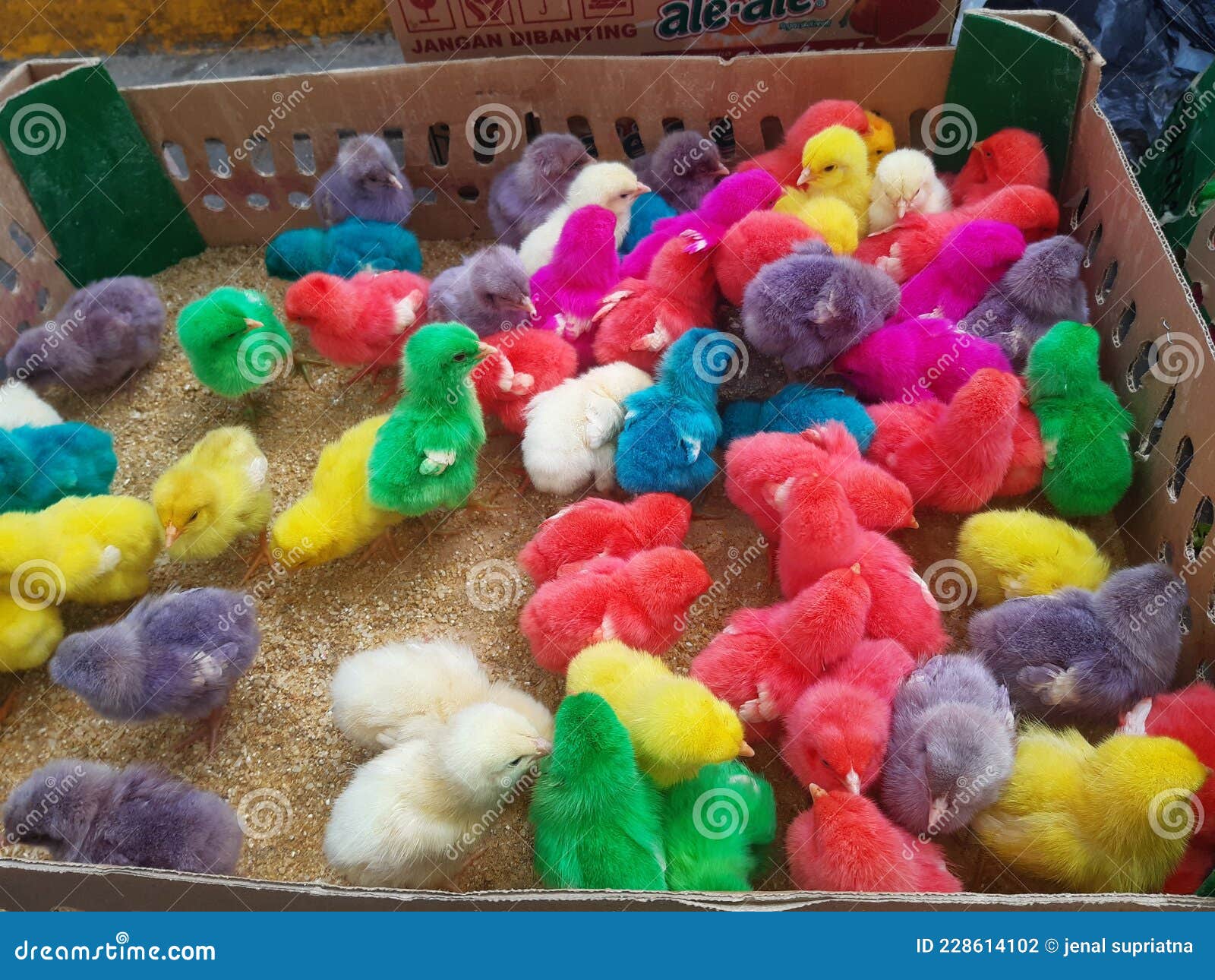 Cute colored chicks stock photo. Image of kids, cute - 228614102