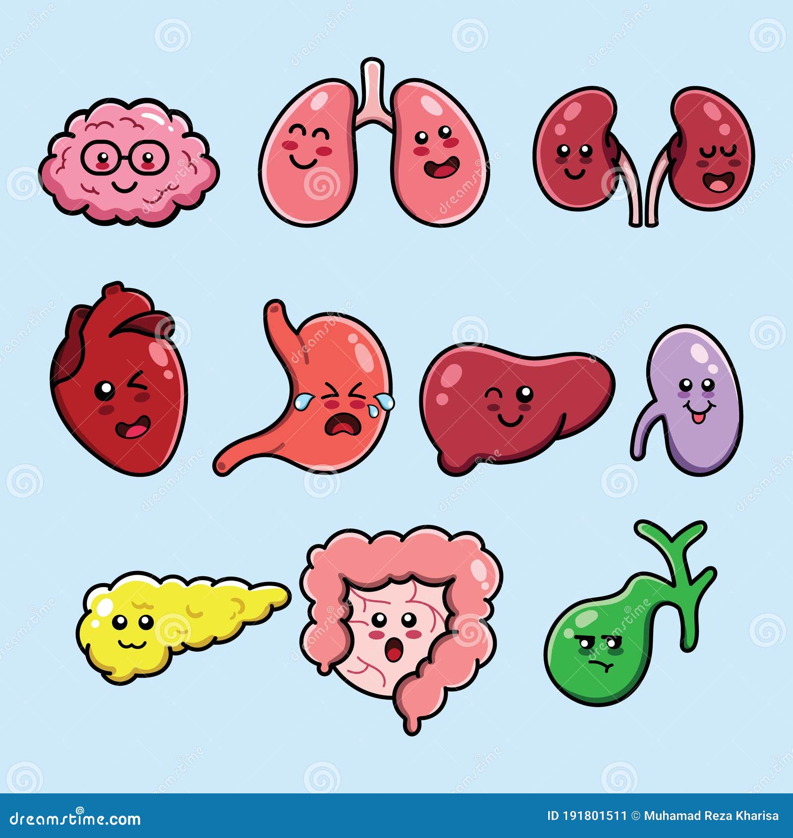 Cute and Colorful Body Organ Doodle Stock Vector - Illustration of ...
