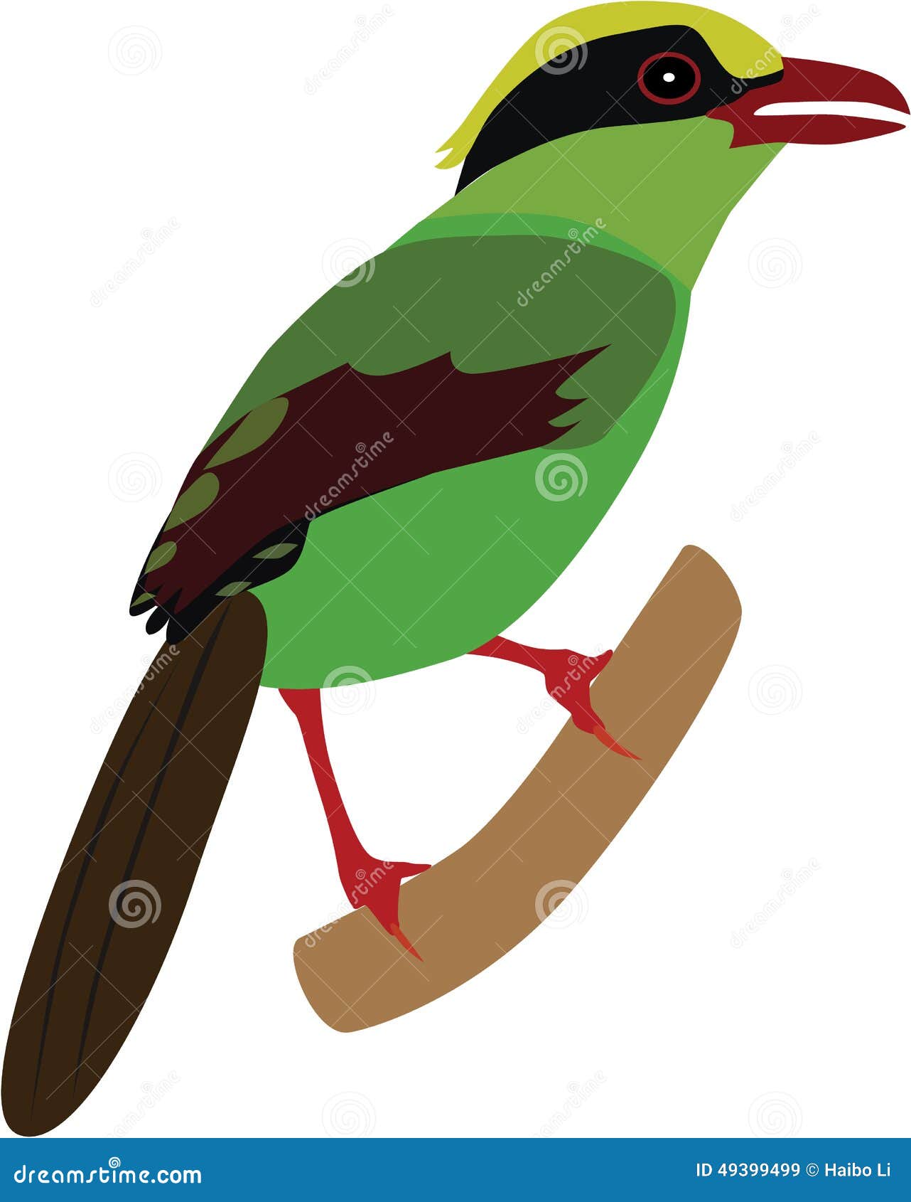 Cute Common Green Magpie Vector Stock Vector - Illustration of bird ...