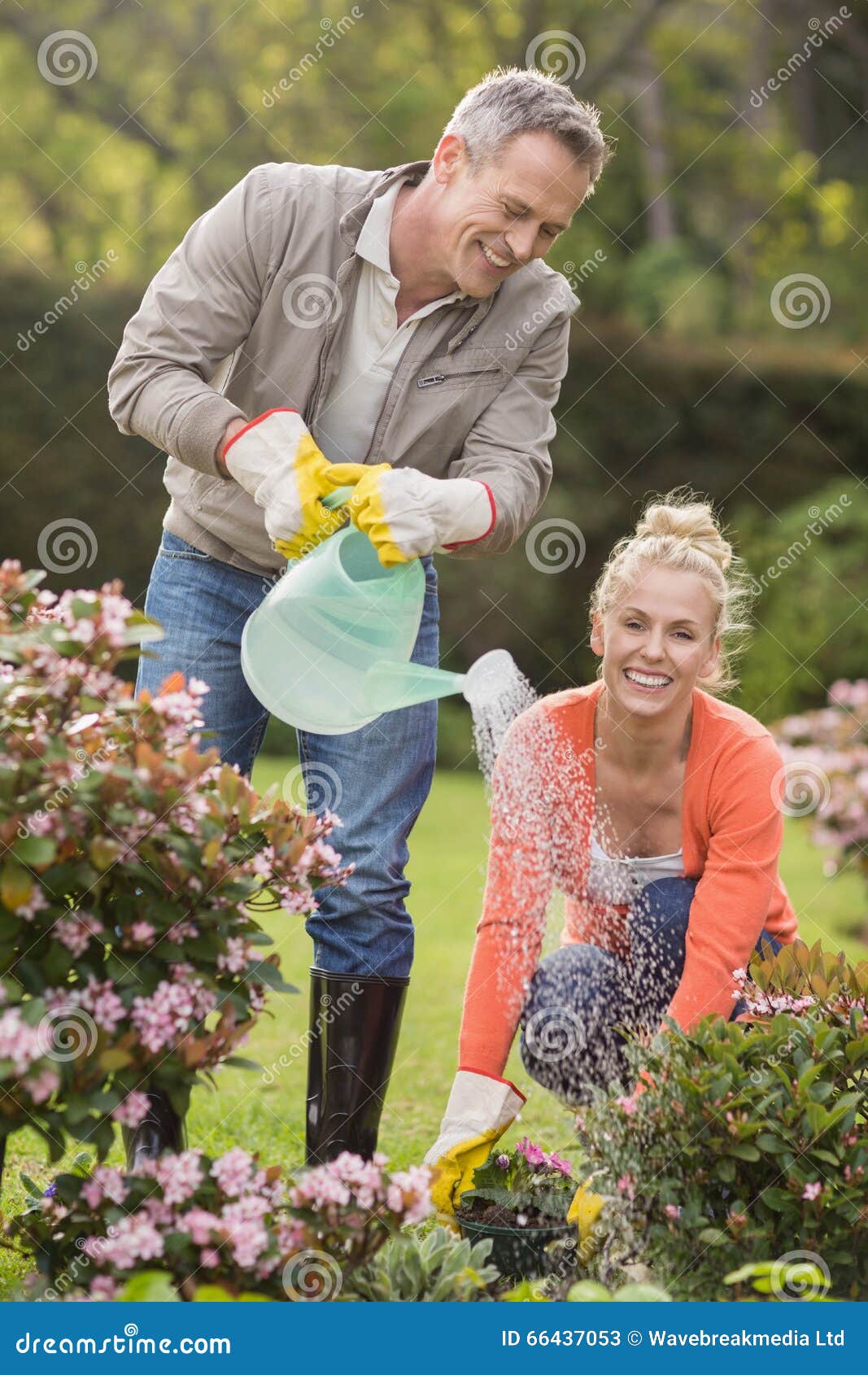 Cute Couple Watering the Plants Stock Image - Image of lawn, amusement ...