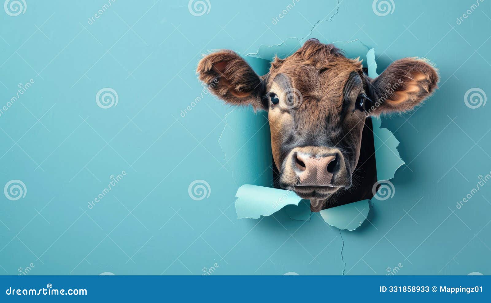 Cute Cow Peeking through a Hole Stock Illustration - Illustration of ...