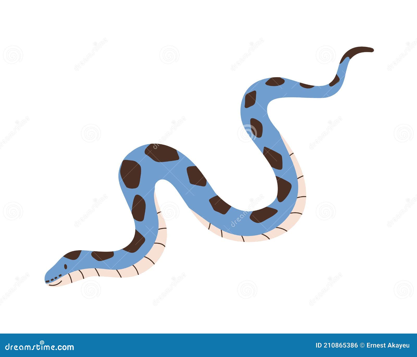Funny Snake Pictures For Kids
