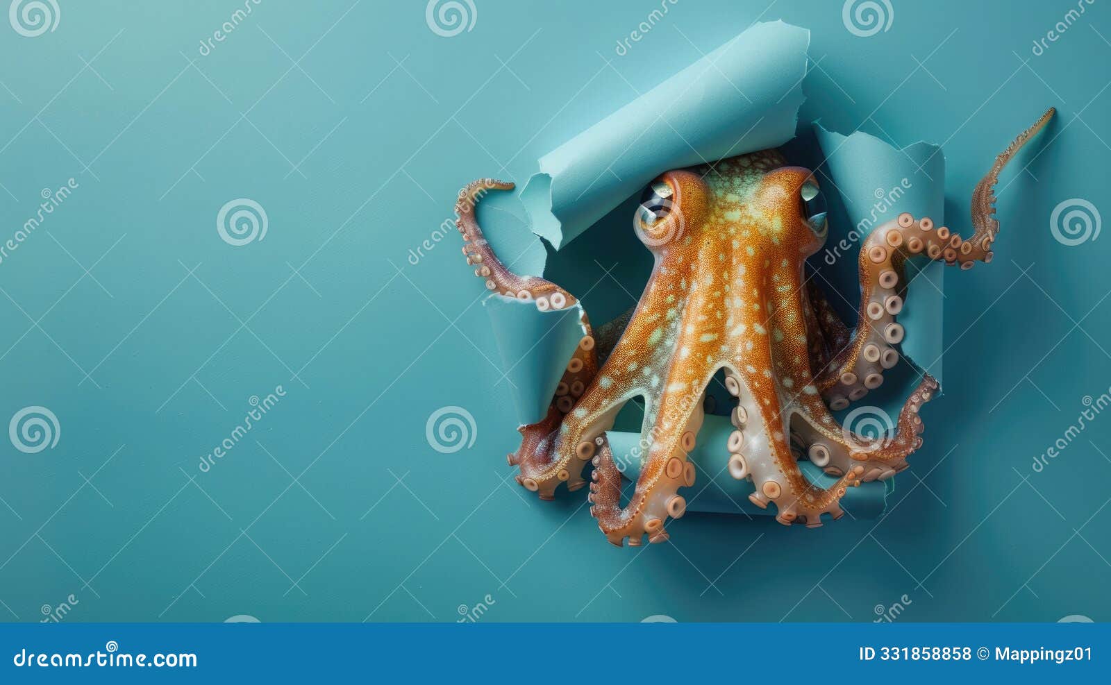 Cute Cuttlefish, Octopus, Squid, T-shirt Print, Kids Poster, On White ...
