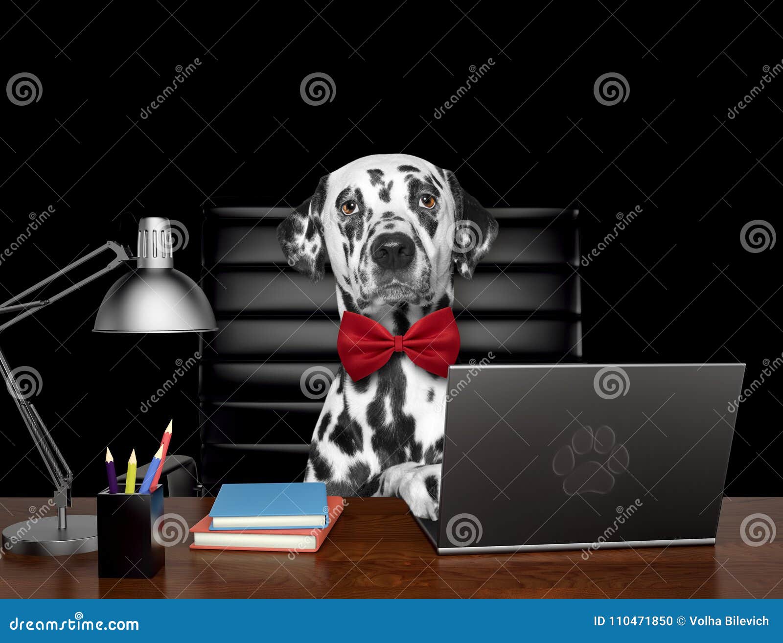 Cute Dalmatian Dog Manager is Doing Some Work on the Computer. Isolated ...