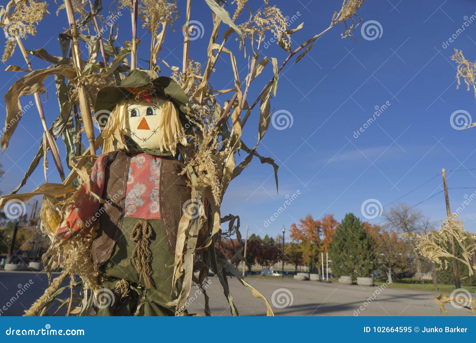 Cute Scarecrow in the fall stock image. Image of holiday - 102664595