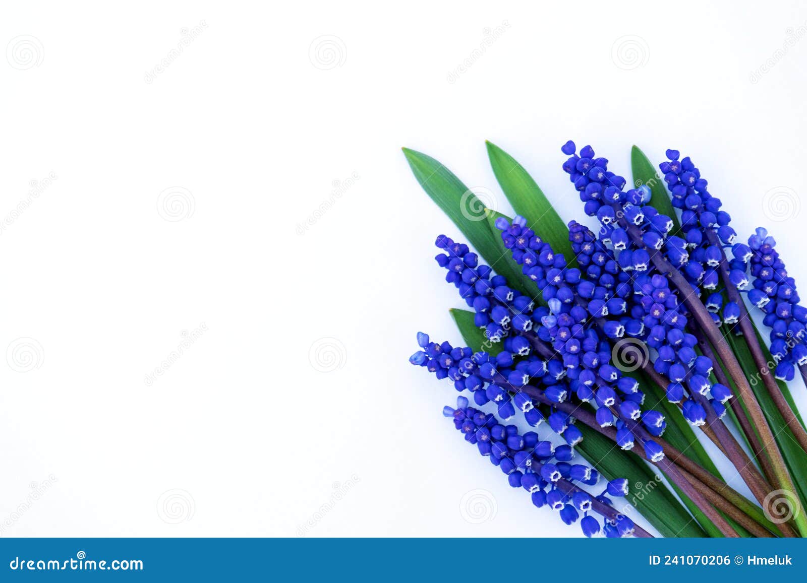 Cute Delicate Bouquet of Blue Spring Flowers Stock Photo - Image of ...