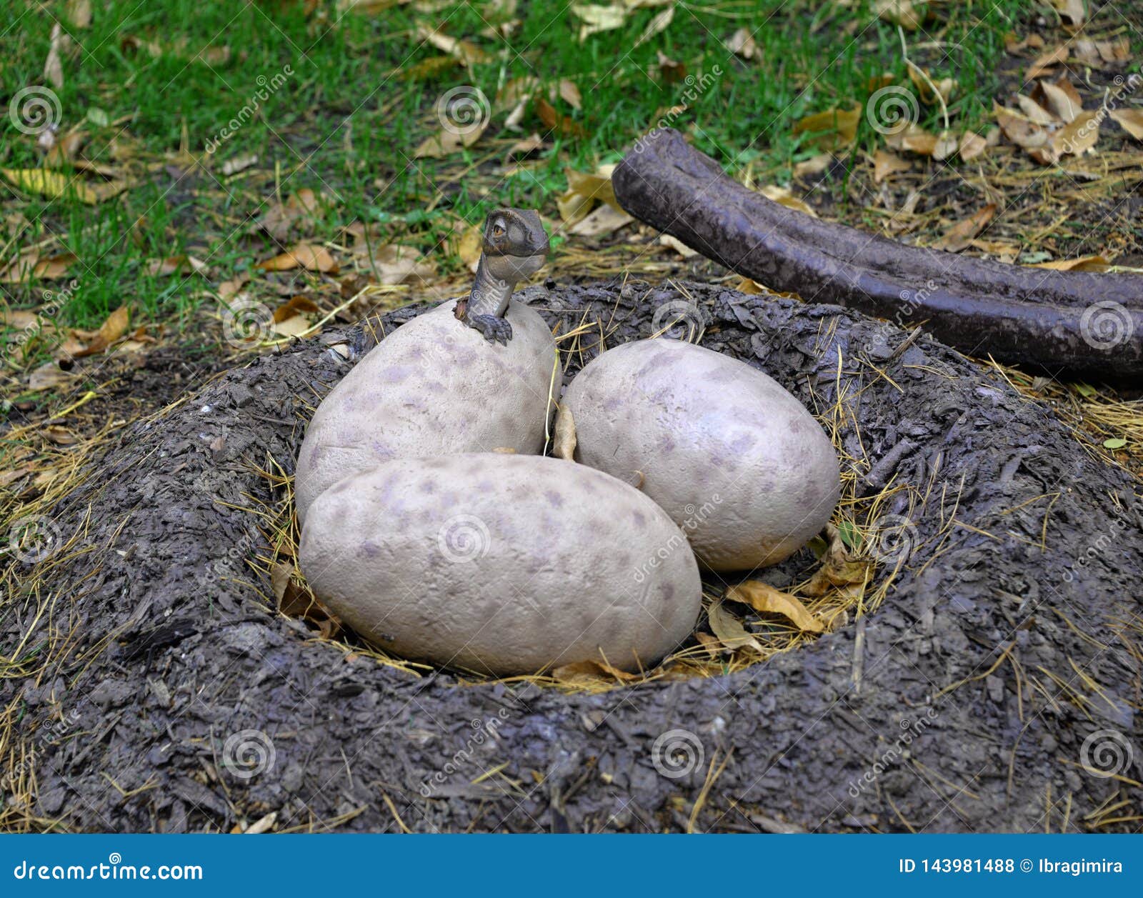 Cute Dinosaur Hatching from an Egg Editorial Stock Photo - Image of ...