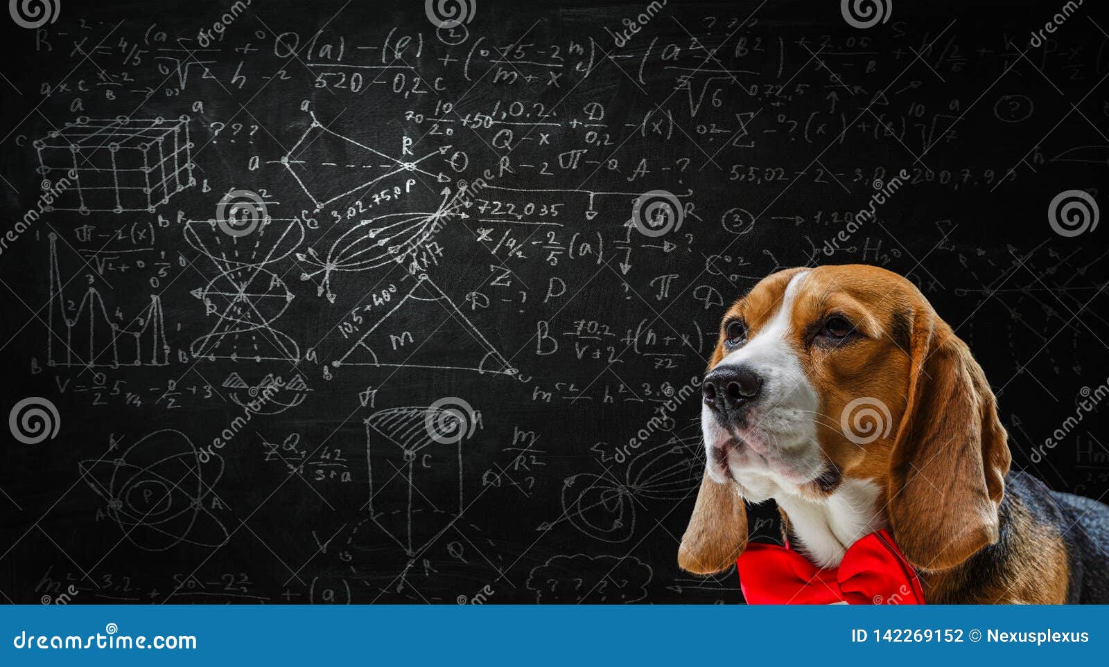 Dog Study Science. Mixed Media Stock Illustration - Illustration of ...