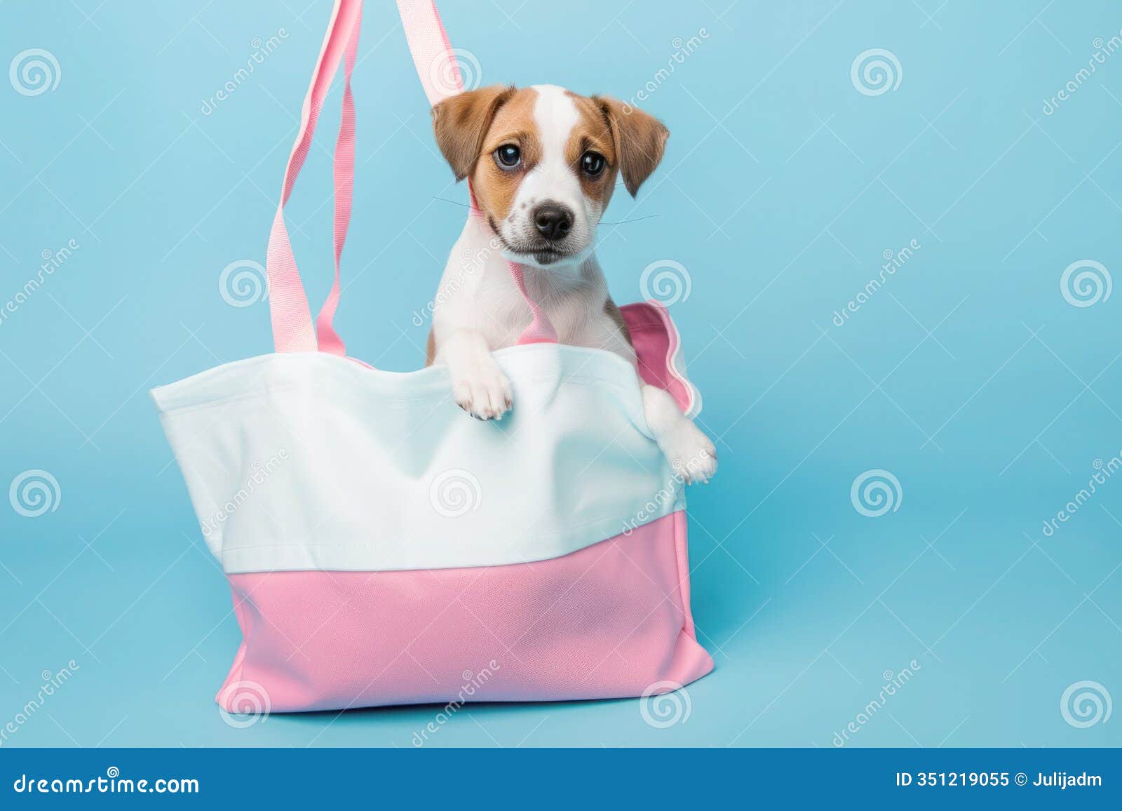 Cute Dog in Dog Bag on Blue Background. Stock Illustration ...