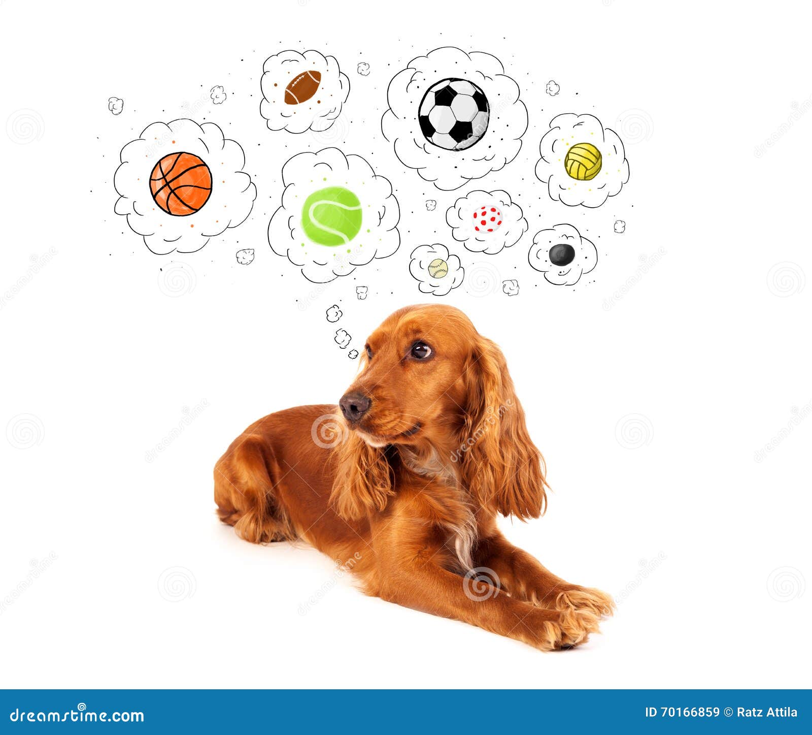 Cute Dog with Balls in Thought Bubbles Stock Image - Image of animal ...
