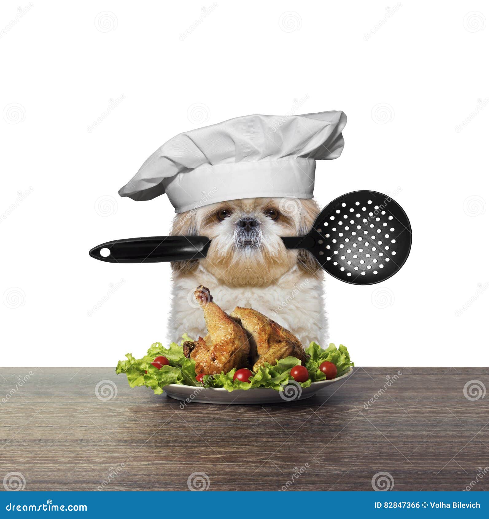 Cute Dog Chef is Preparing Chicken Stock Photo - Image of obedience ...