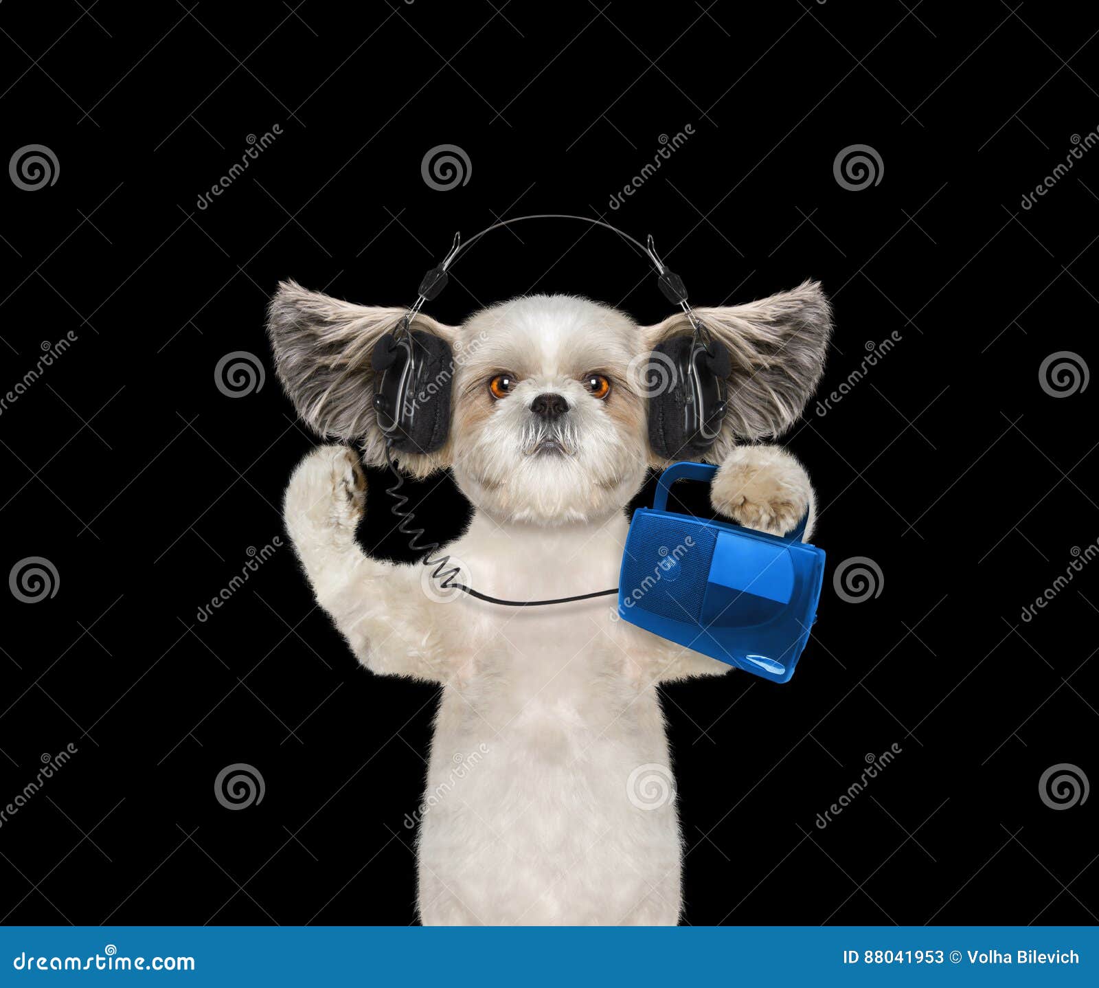 Cute Dog With Headphone Isolated On Black Royalty-Free Stock ...