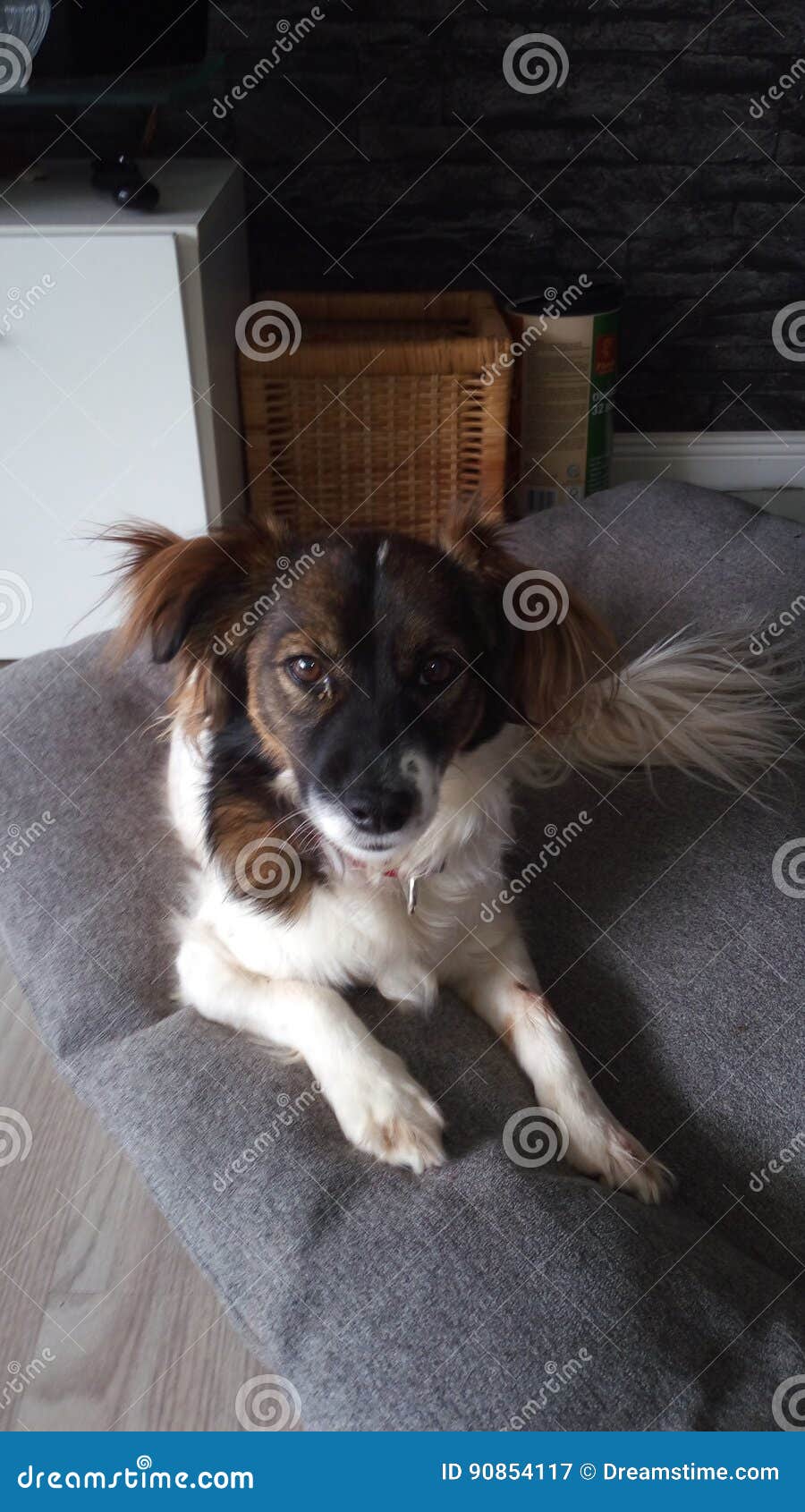 Isent Stock Photos - Free & Royalty-Free Stock Photos from Dreamstime