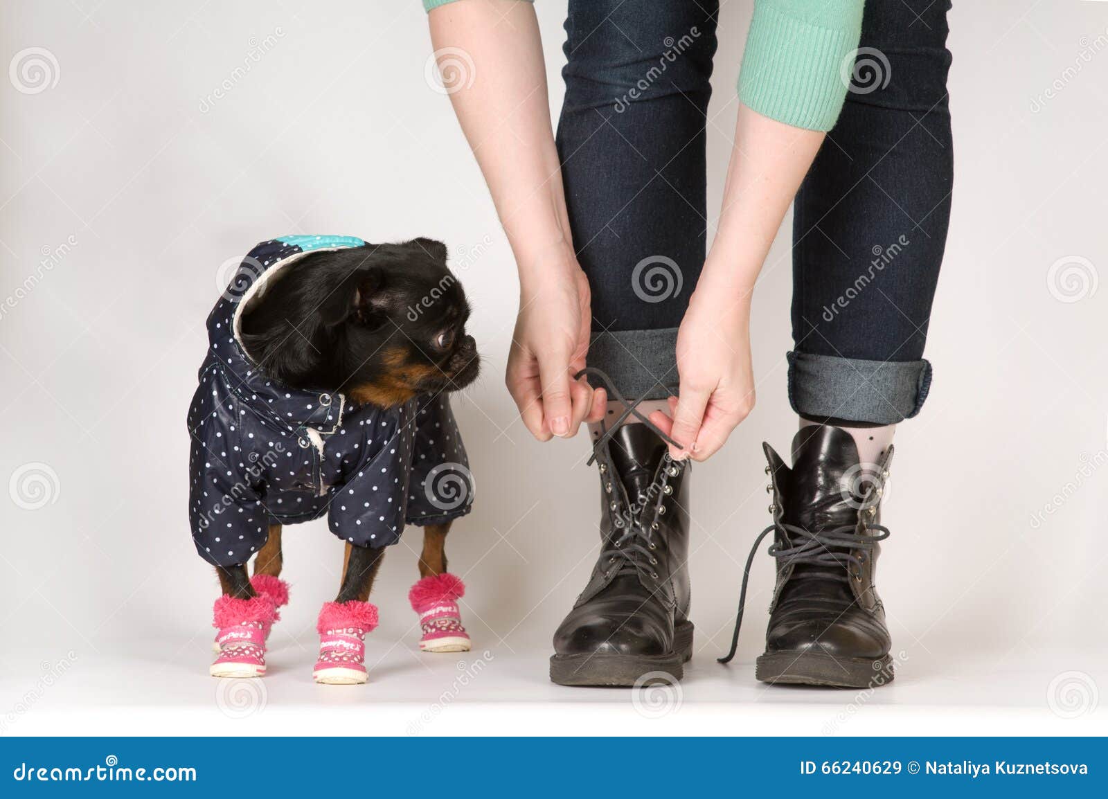 Cute dog looks at boots stock image. Image of warm, clothes - 66240629