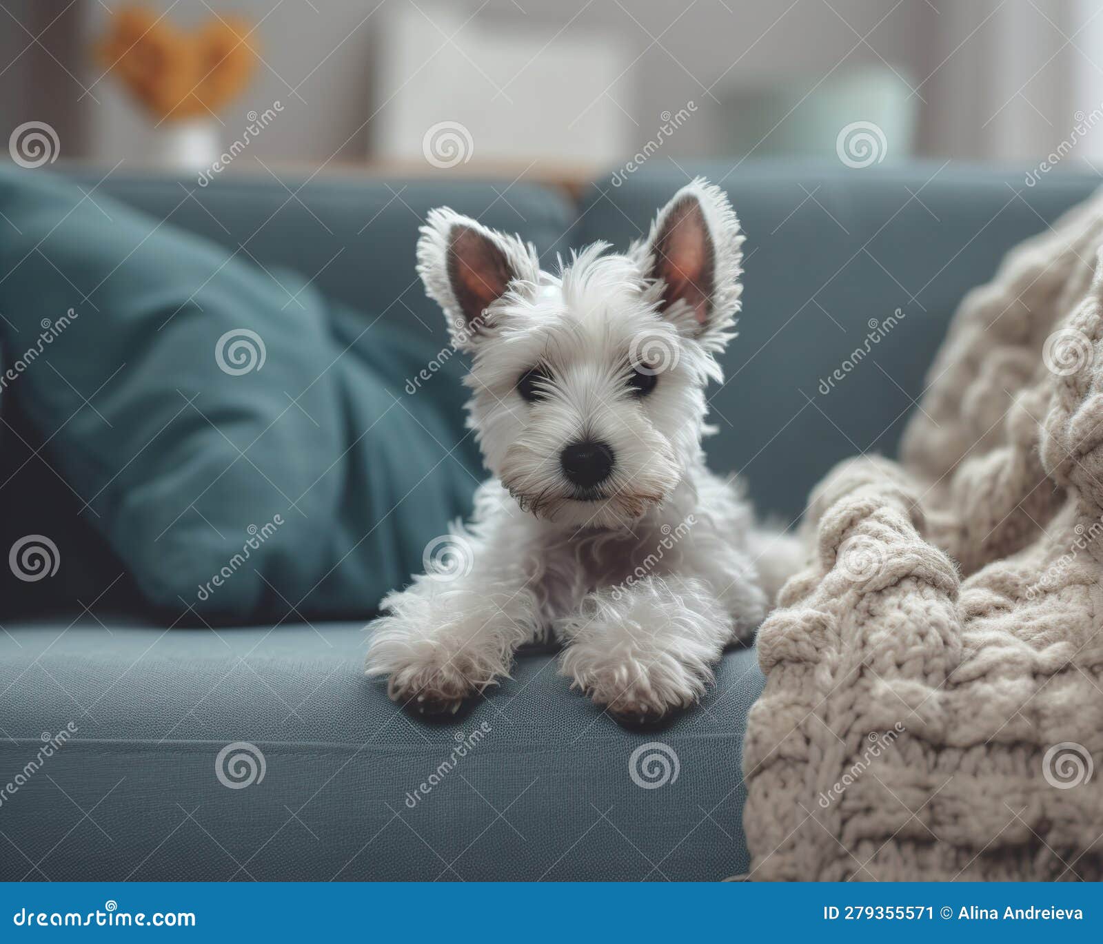 Cute dog lying on a couch stock illustration. Illustration of cozy ...