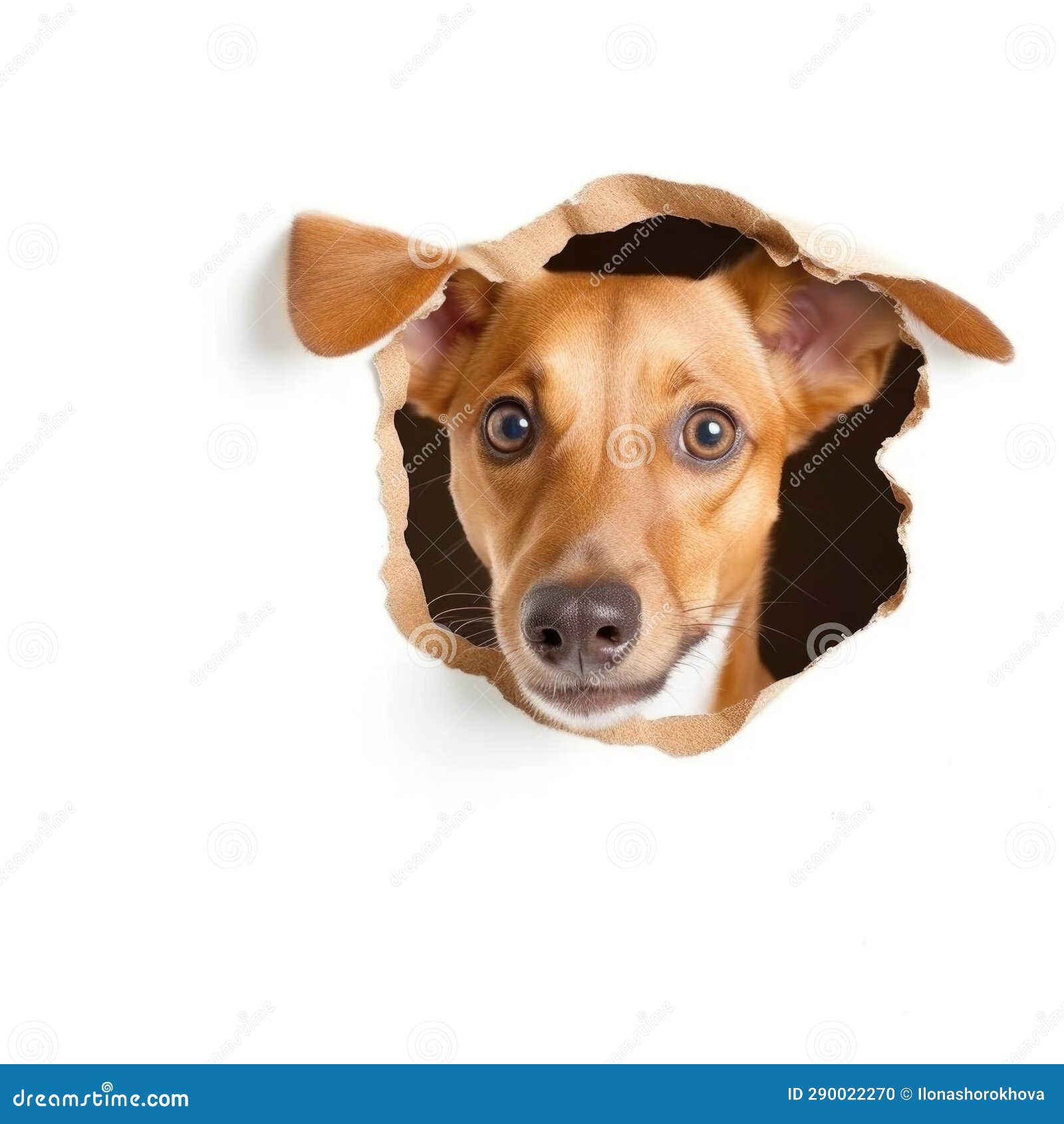 Cute Dog Peeking Out of Paper Hole, AI Generated Stock Photo - Image of ...