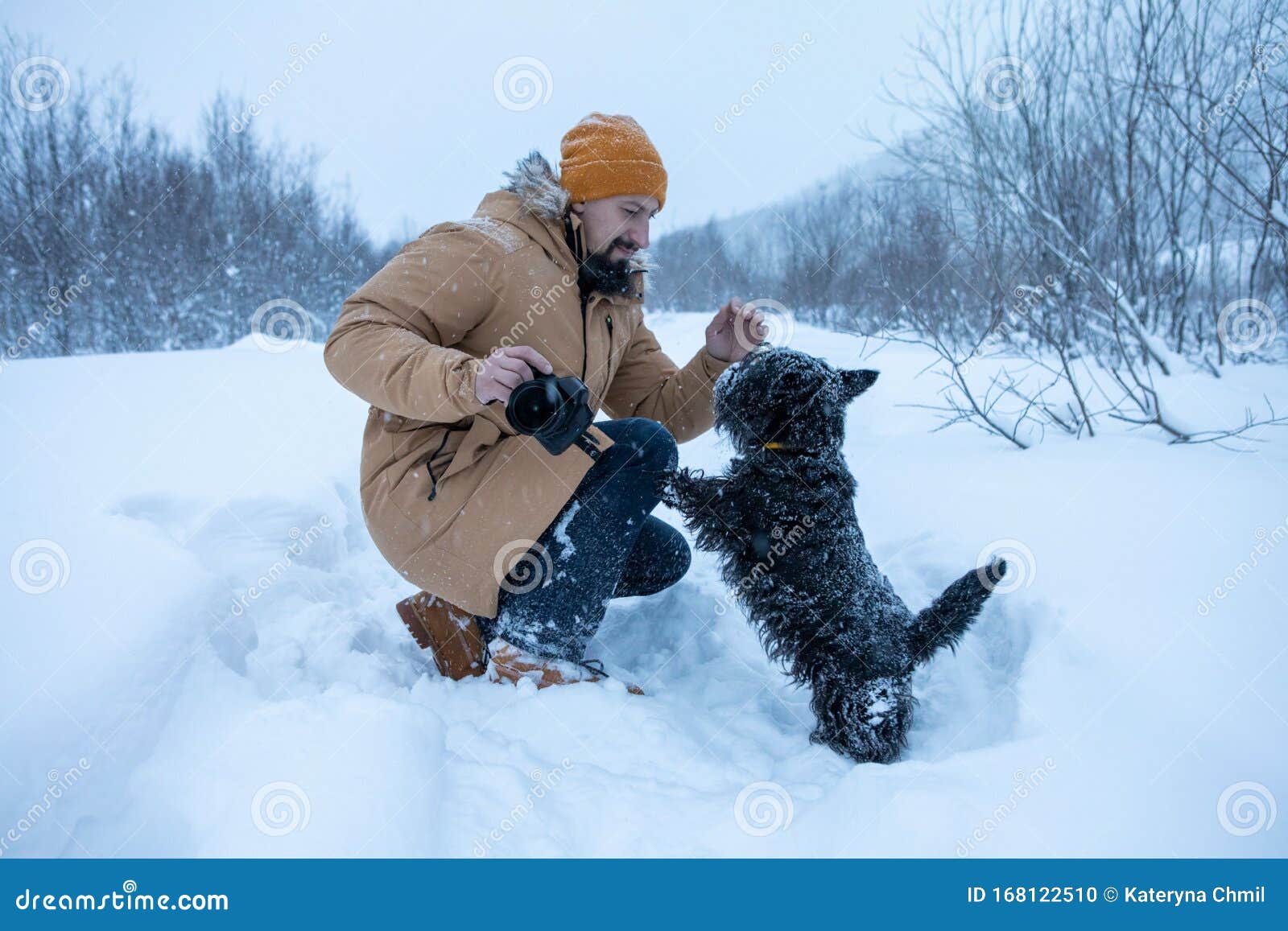 Cute Dog Performs a Command of His Master Stock Photo - Image of person ...