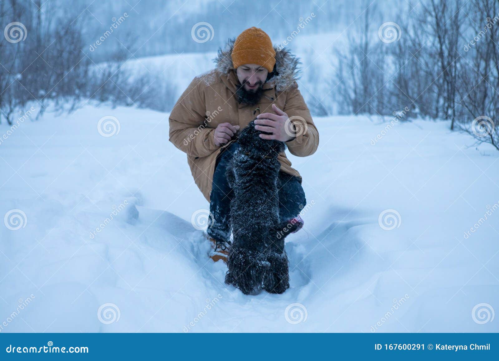 Cute Dog Performs a Command of His Master Stock Image - Image of person ...