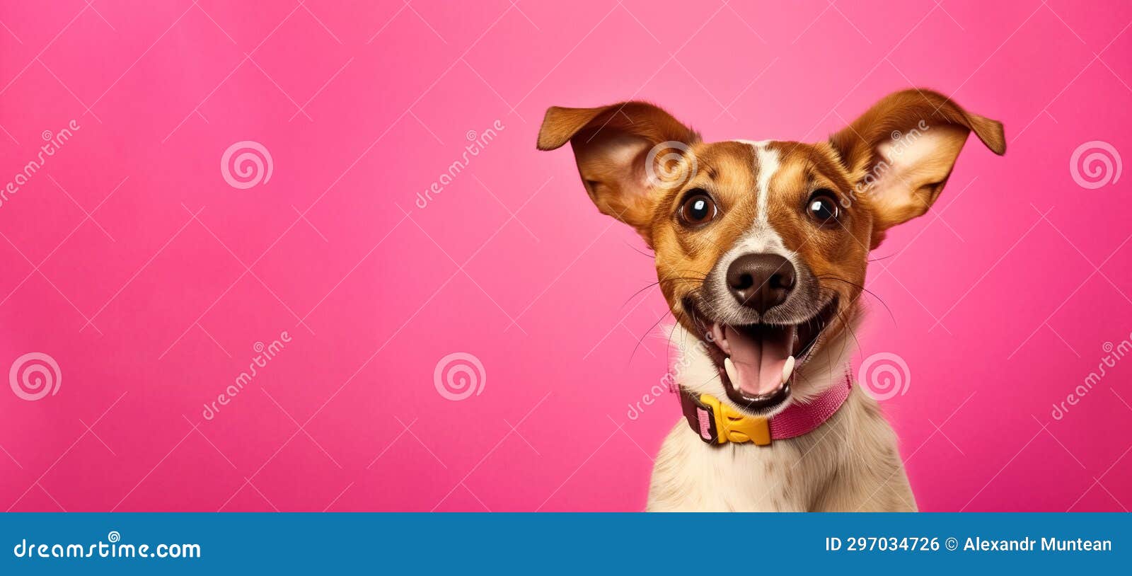 Cute Dog Portrait Over Pink Background, Panoramic Layout. Stock ...